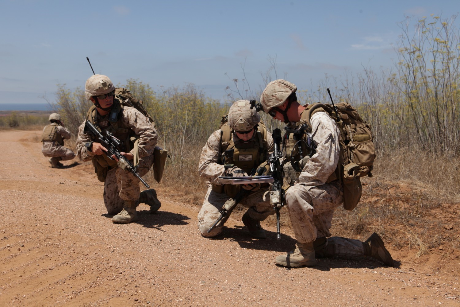 1st Air Naval Gunfire Liaison Company conducts firepower control team ...