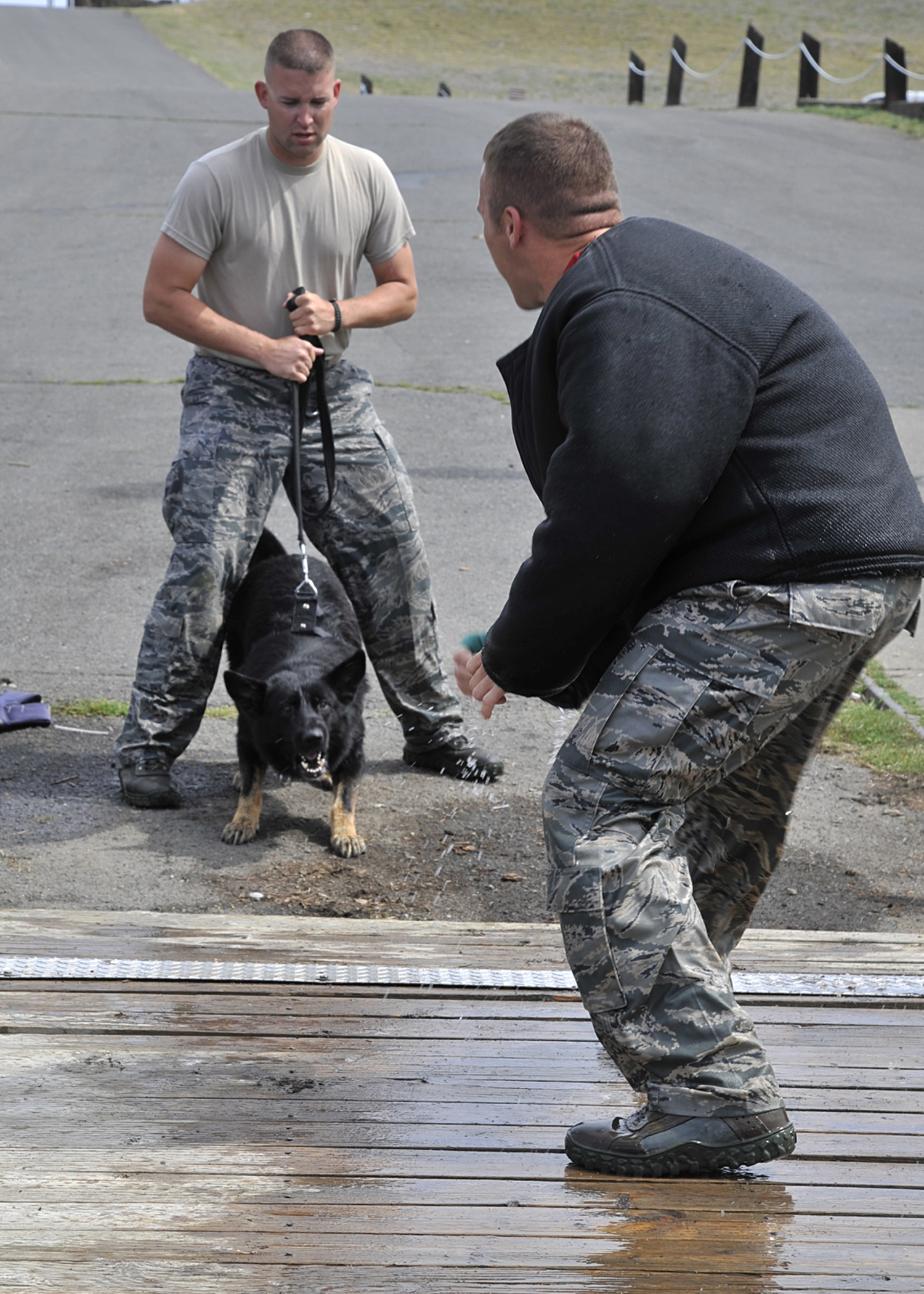 Fairchild military working dogs train for success > Fairchild Air Force ...