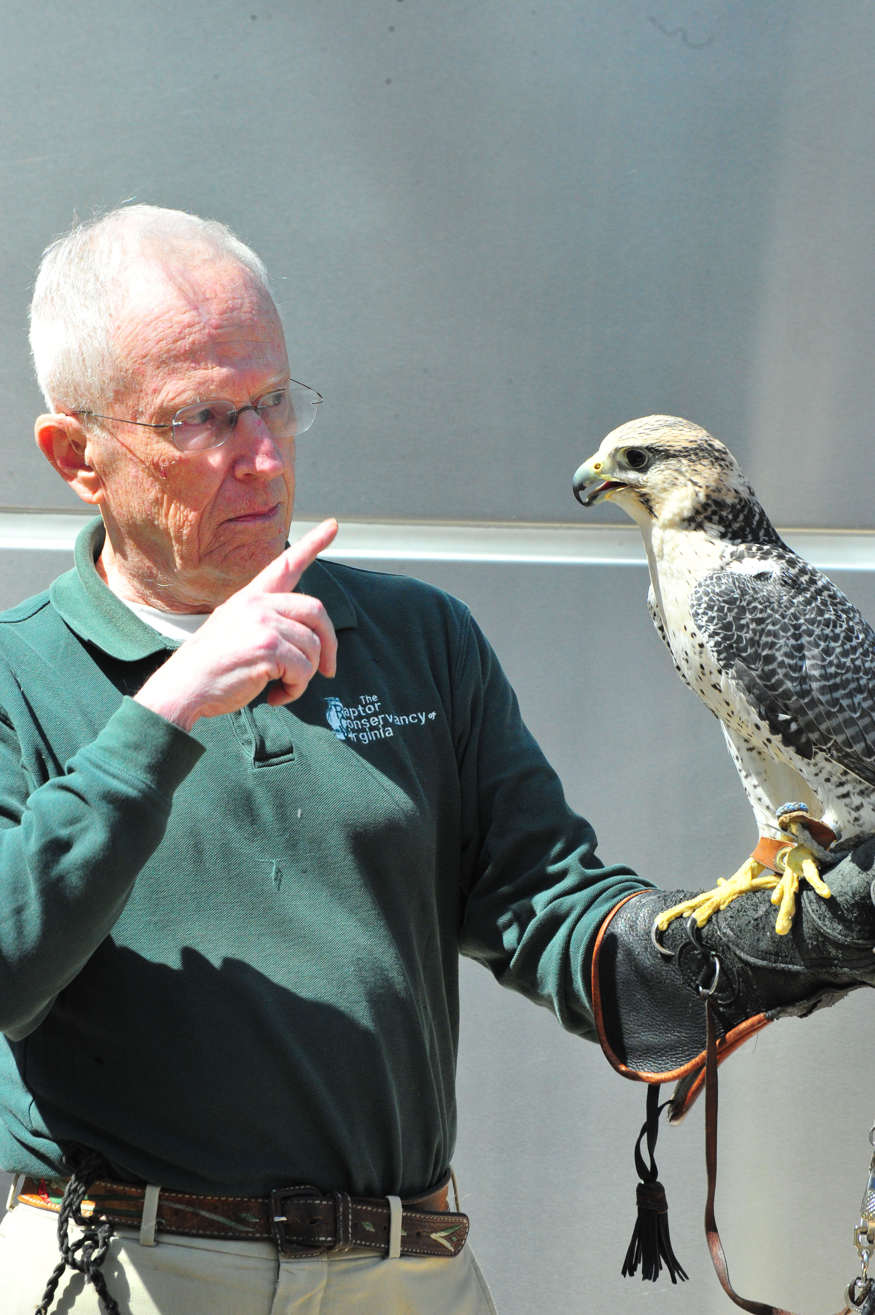 Animals flock to the devil dog museum