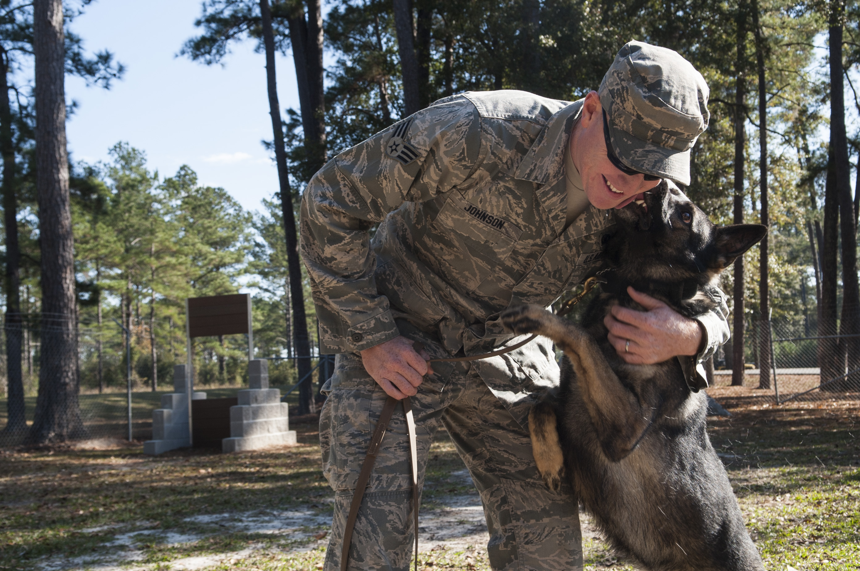 822d MWDs go through obstacle course training > Moody Air Force Base ...