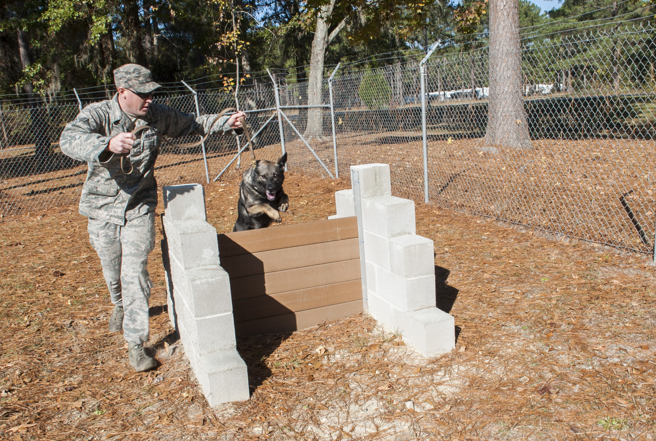 822d MWDs go through obstacle course training > Moody Air Force Base ...