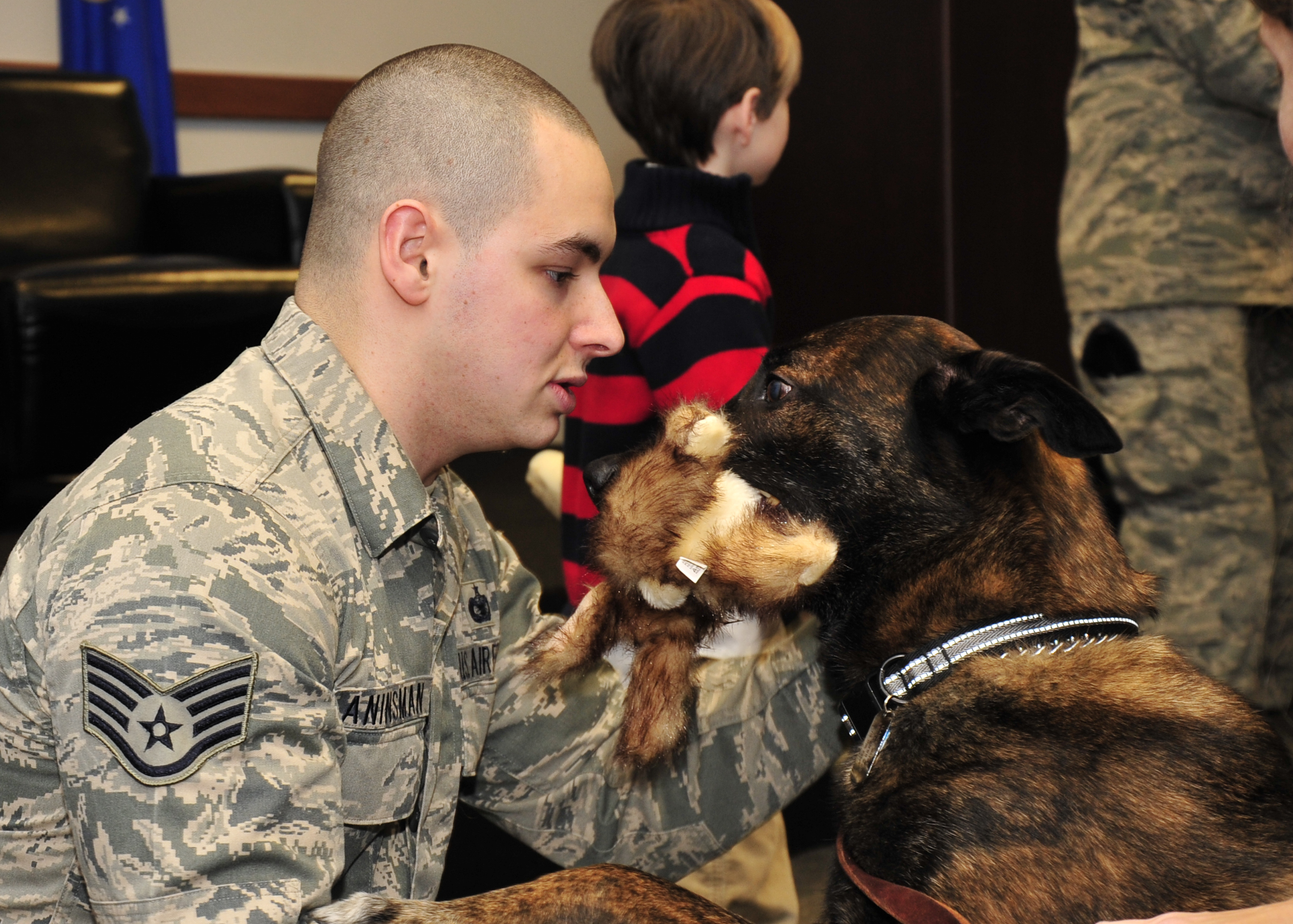Retired Military Working Dog