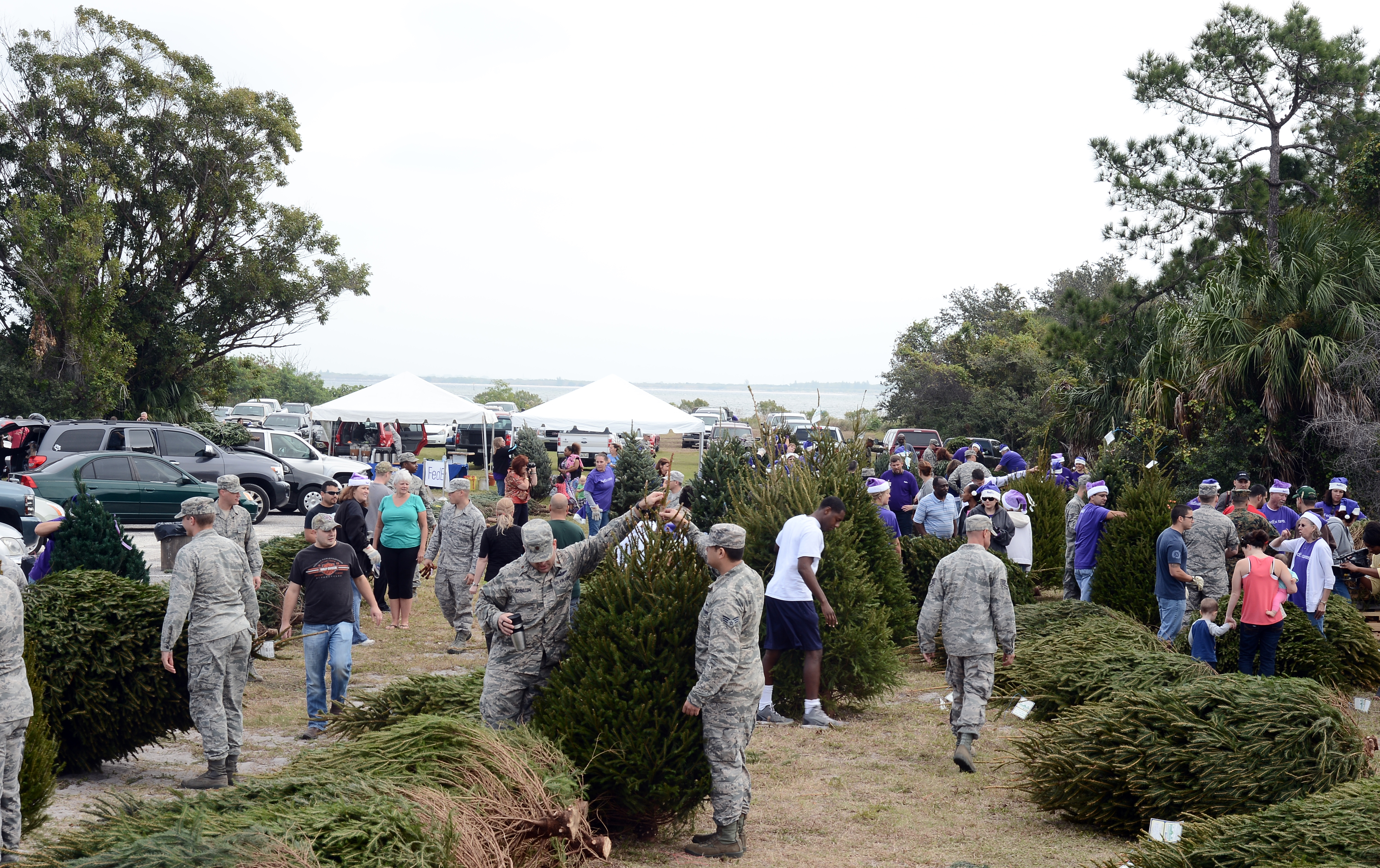 Trees for Troops > MacDill Air Force Base > Article Display