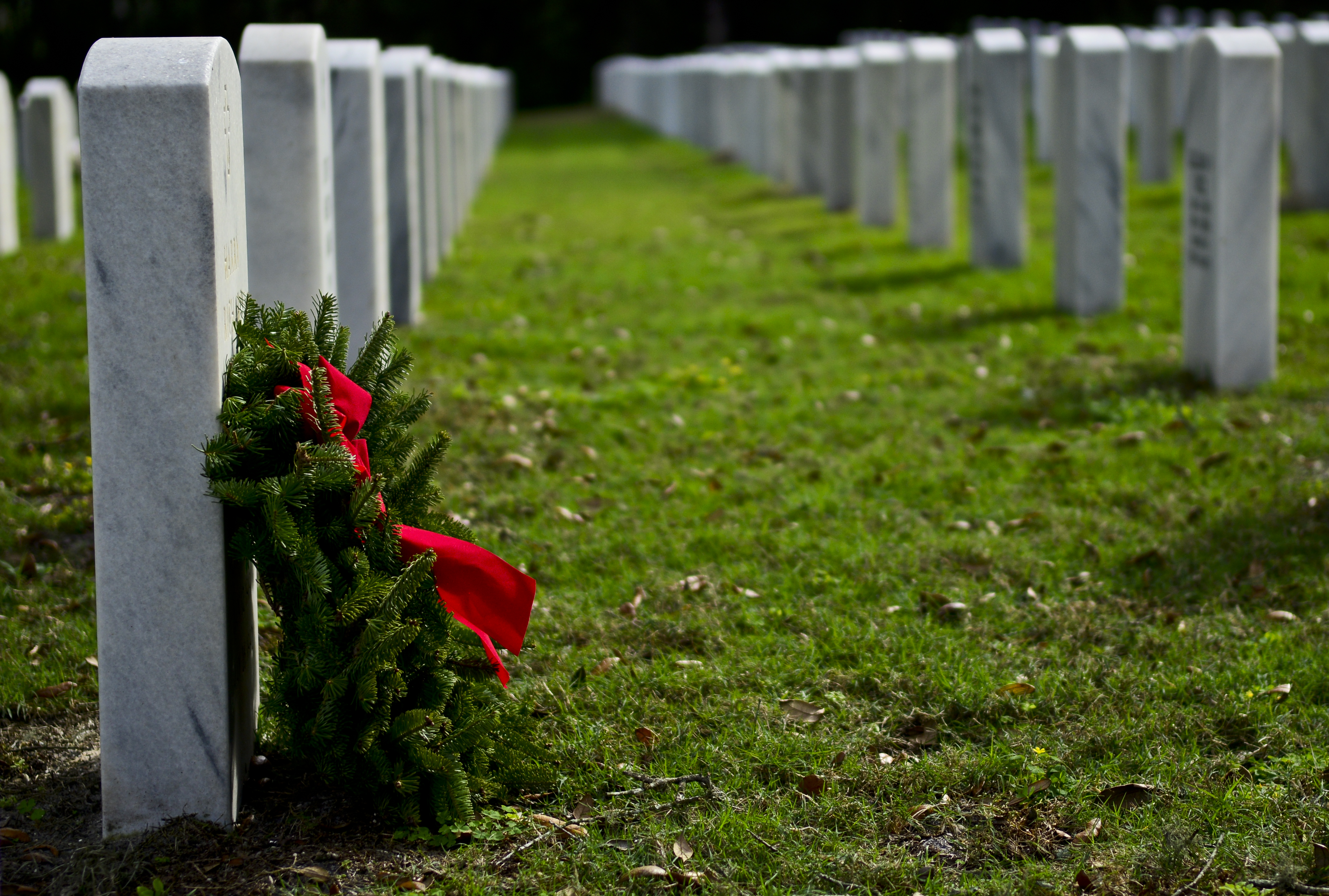 A day of honoring the fallen > MacDill Air Force Base > Article Display