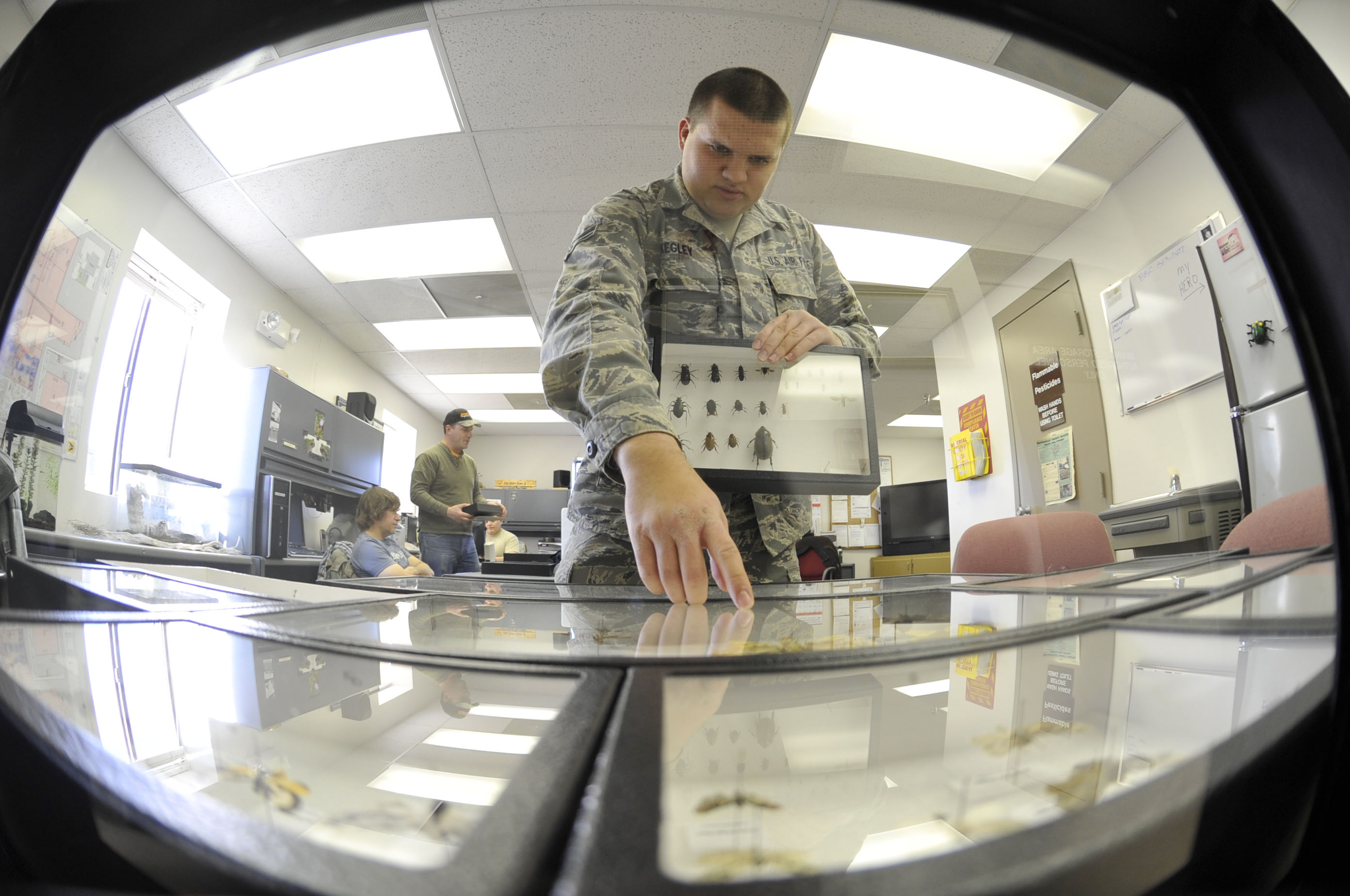 Pest control management prevents wildlife interference > Whiteman Air ...