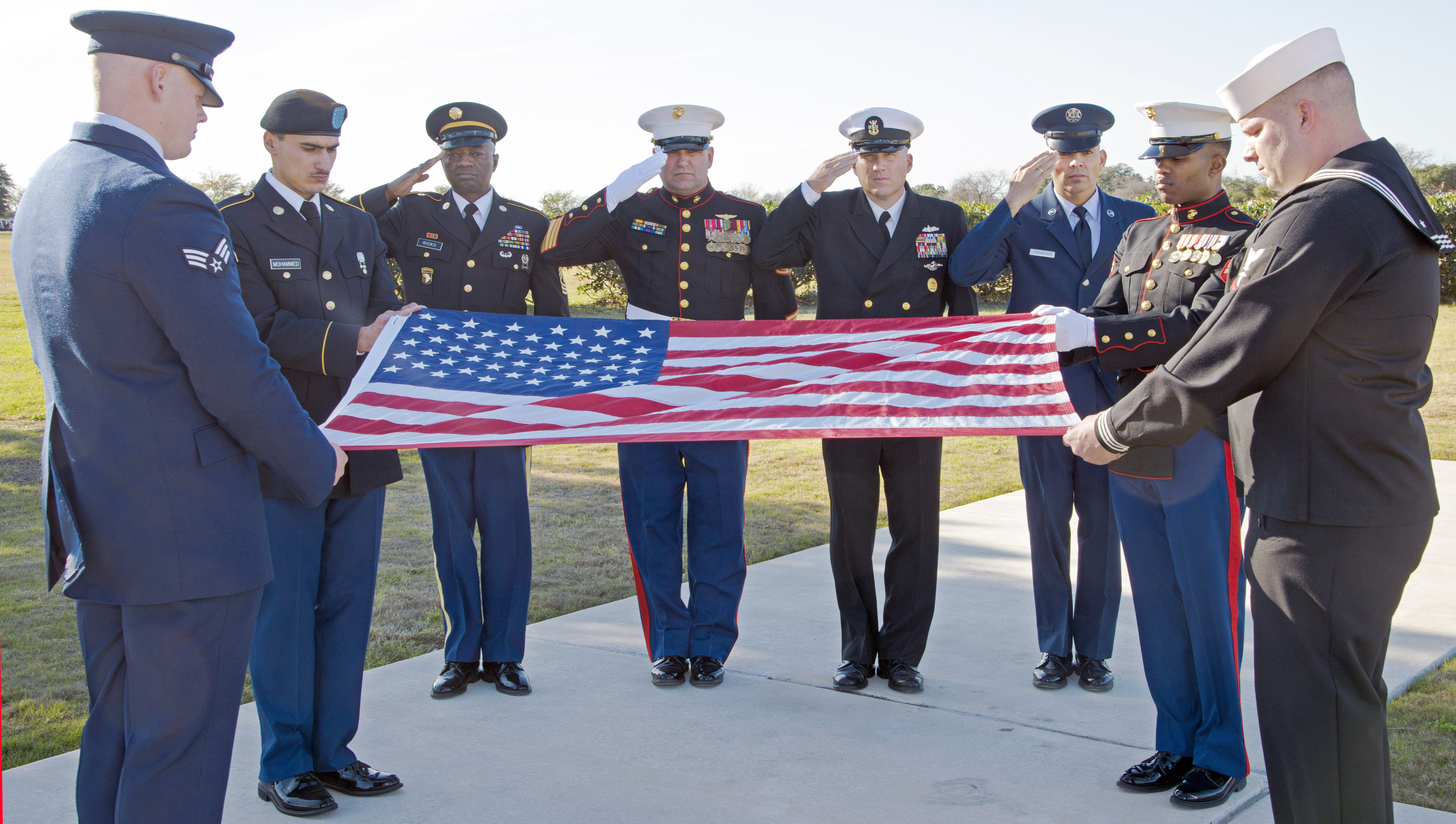flag salute commands
