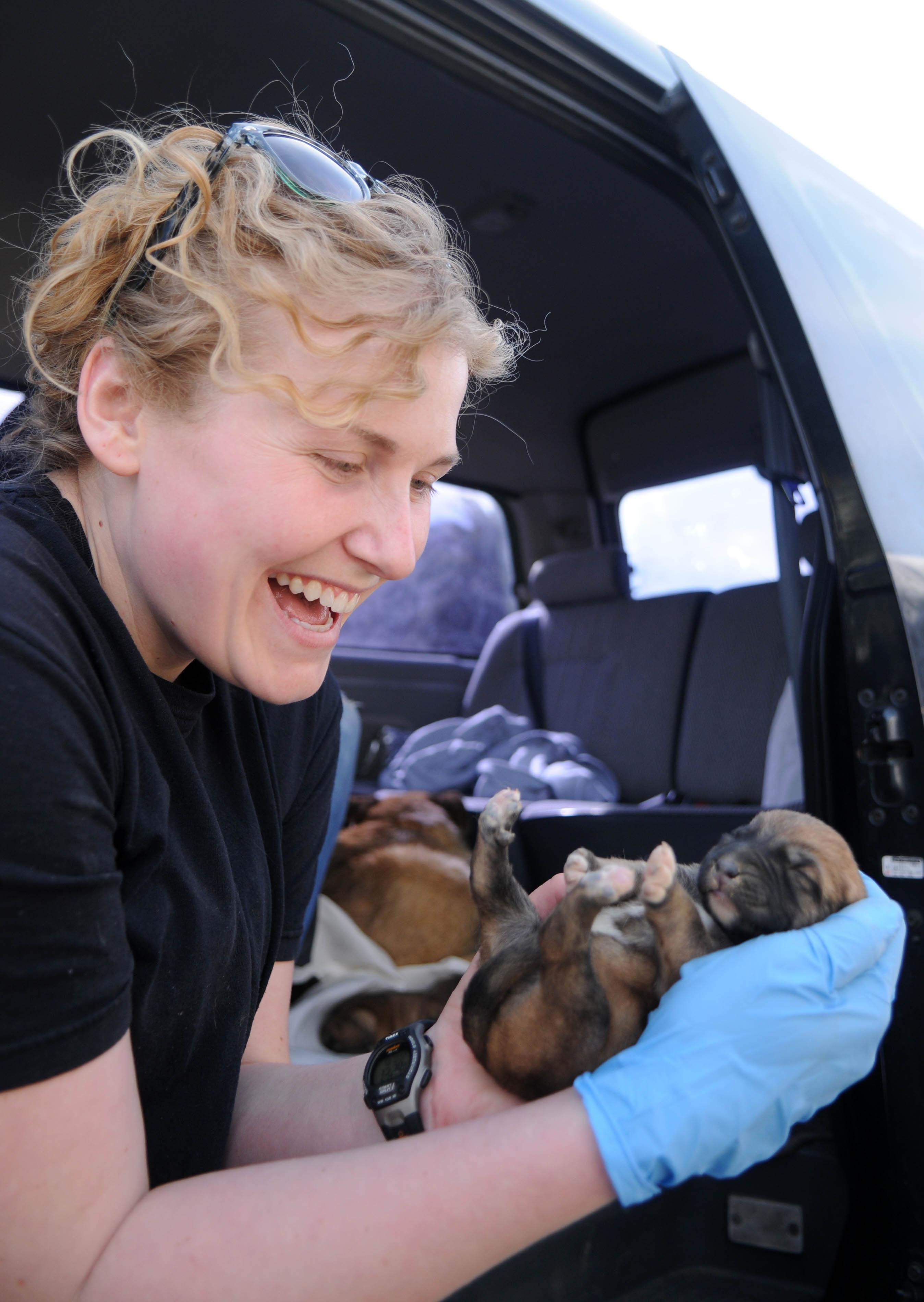 Deployed Airmen volunteer at local animal shelter