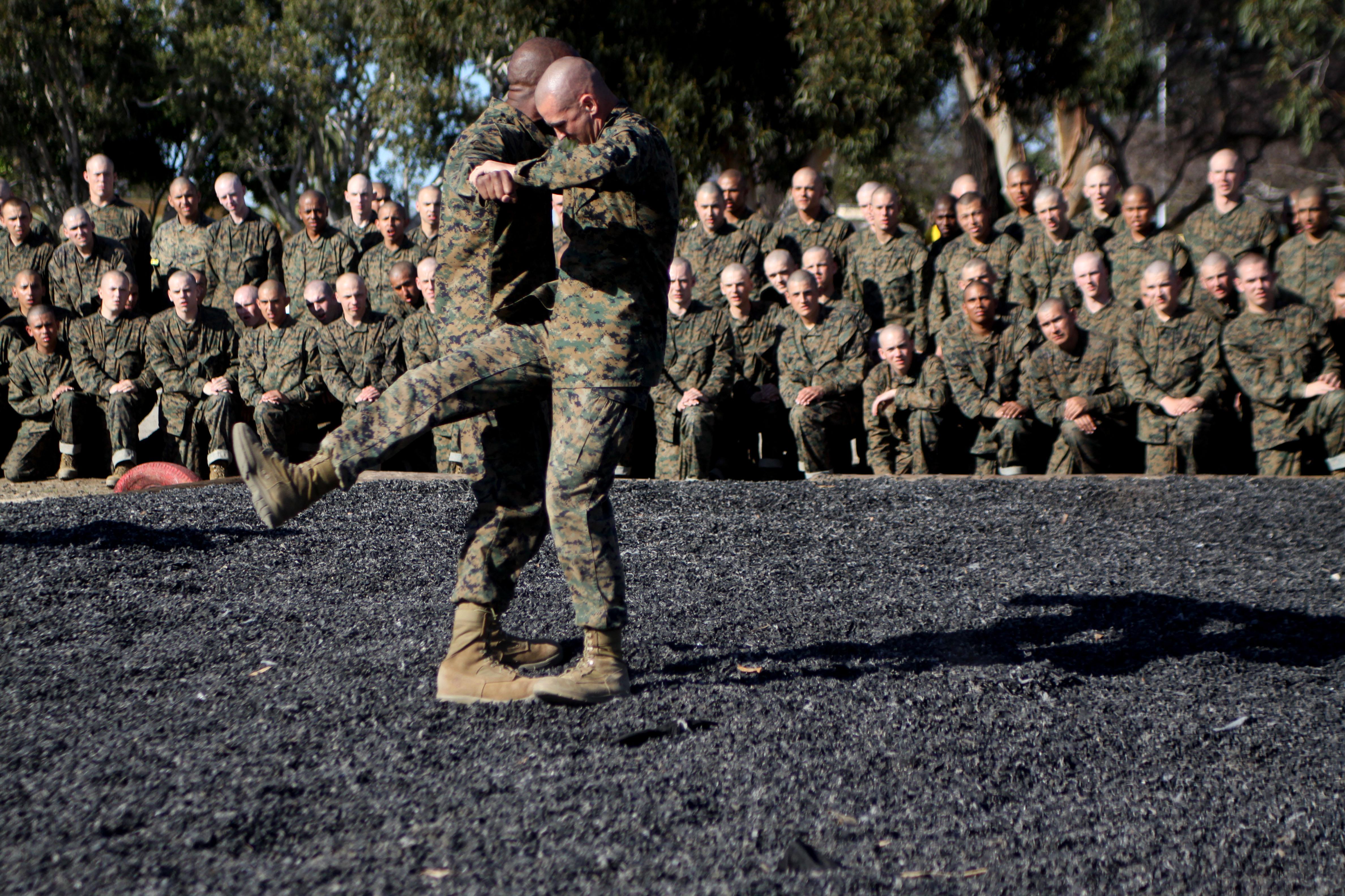 Recruits get taste of combat fitness
