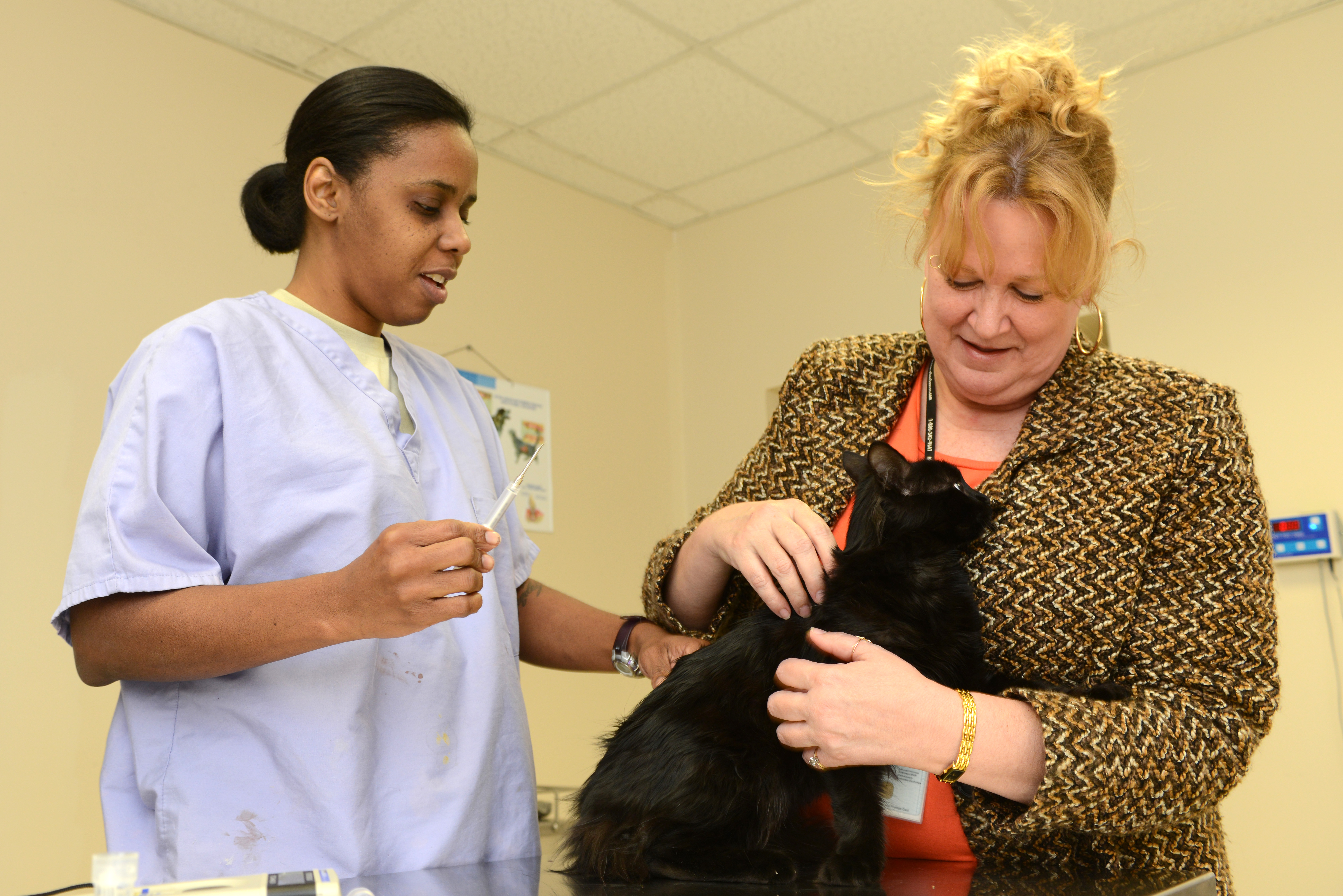 Incirlik Veterinary Clinic cares for four-legged friends > Incirlik Air ...