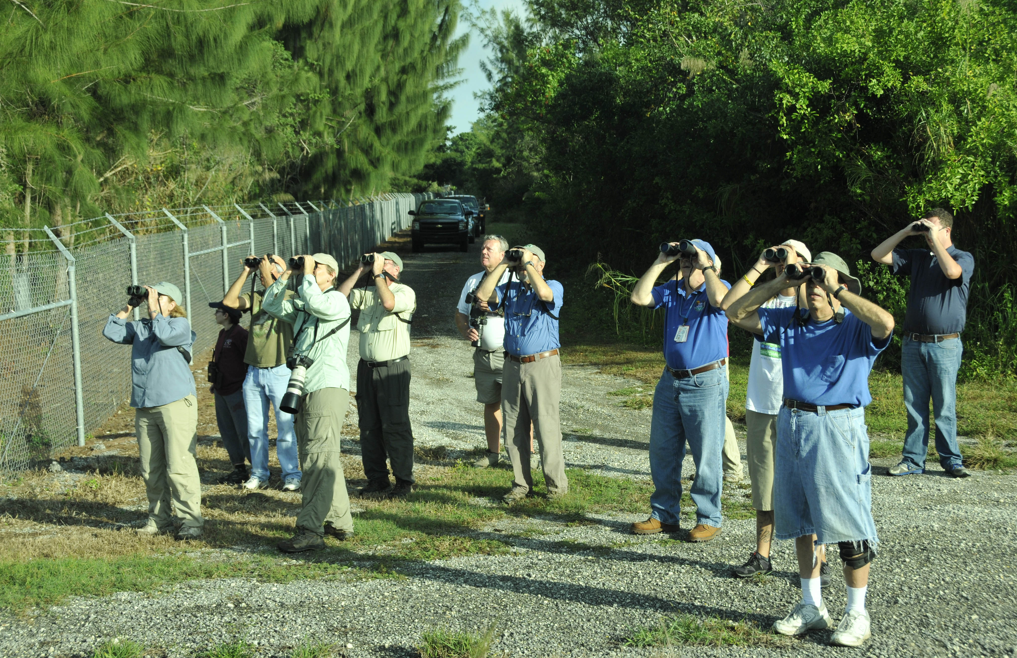 Birders flock to Homestead ARB for annual bird count > Homestead Air ...