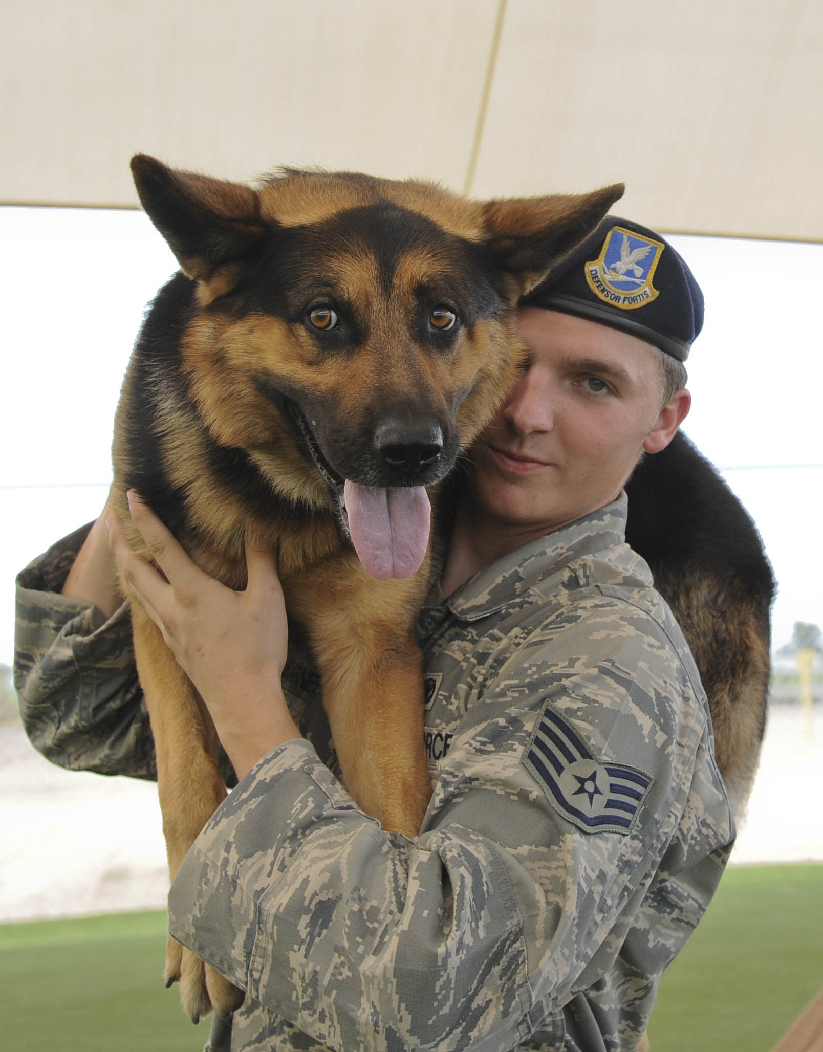 2012: Year in Review