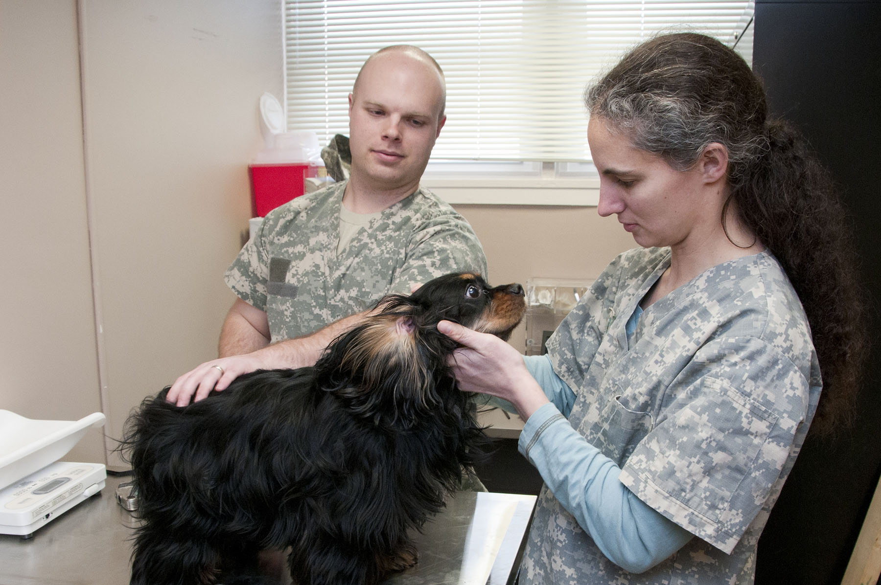 Vet clinic reopens in new location > Hanscom Air Force Base > Article ...