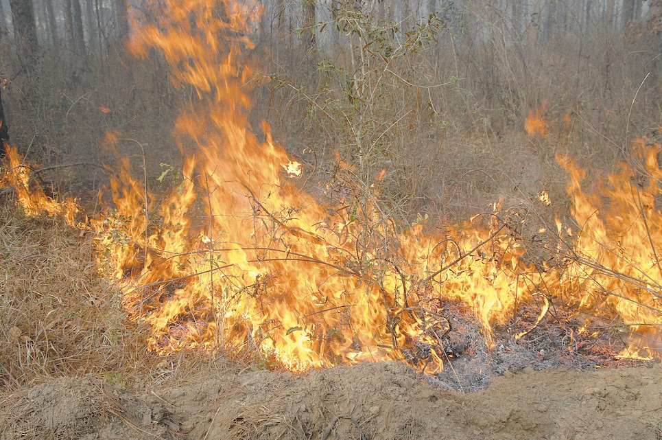 Base conducts prescribed burn > United States Marine Corps Flagship ...