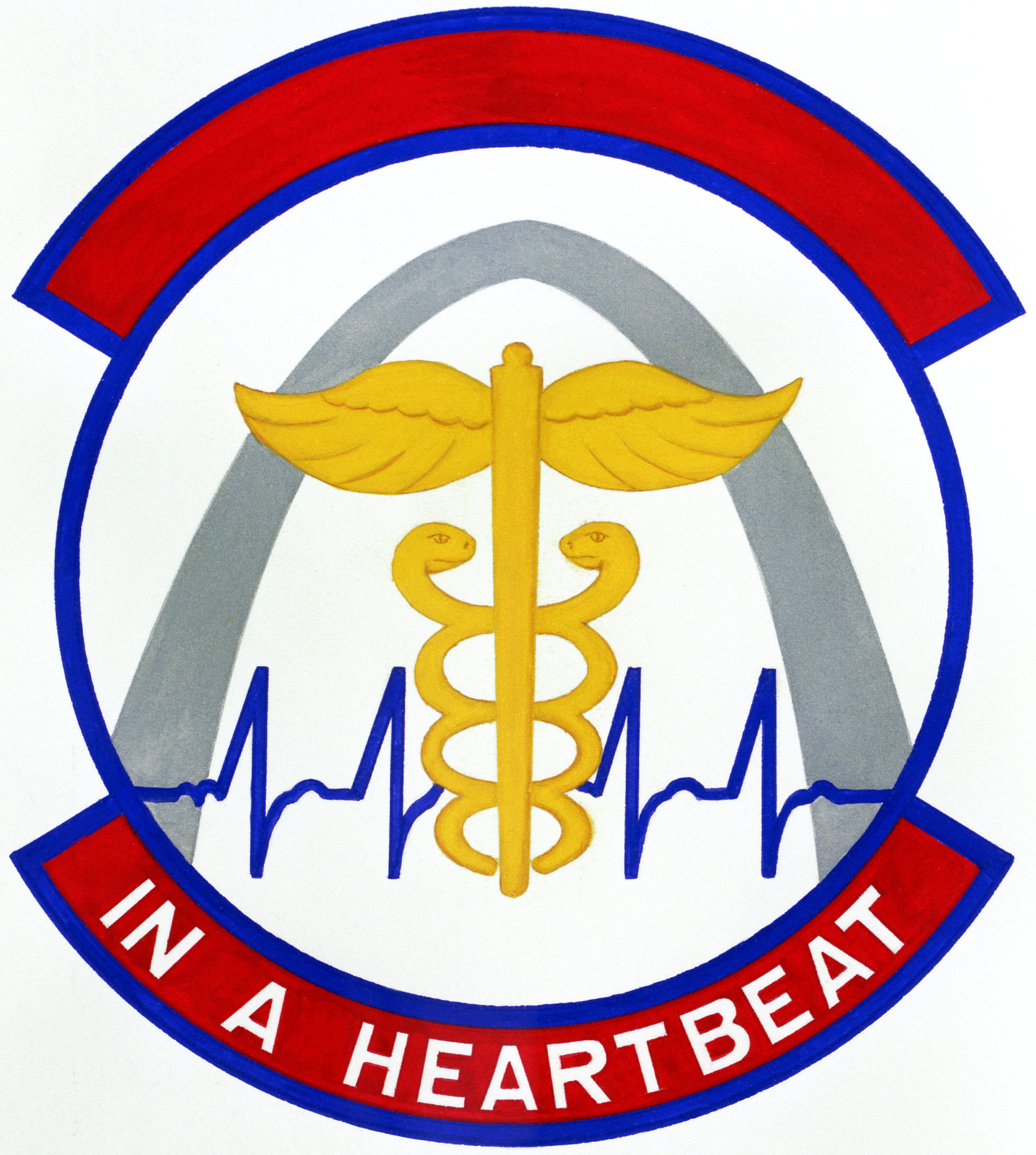 131st Medical Squadron (131 MDS)