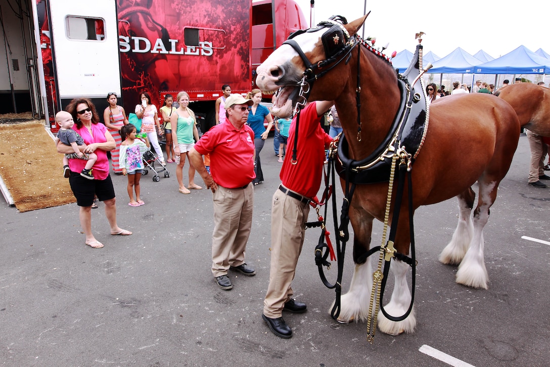 Budweiser expresses thanks to service members