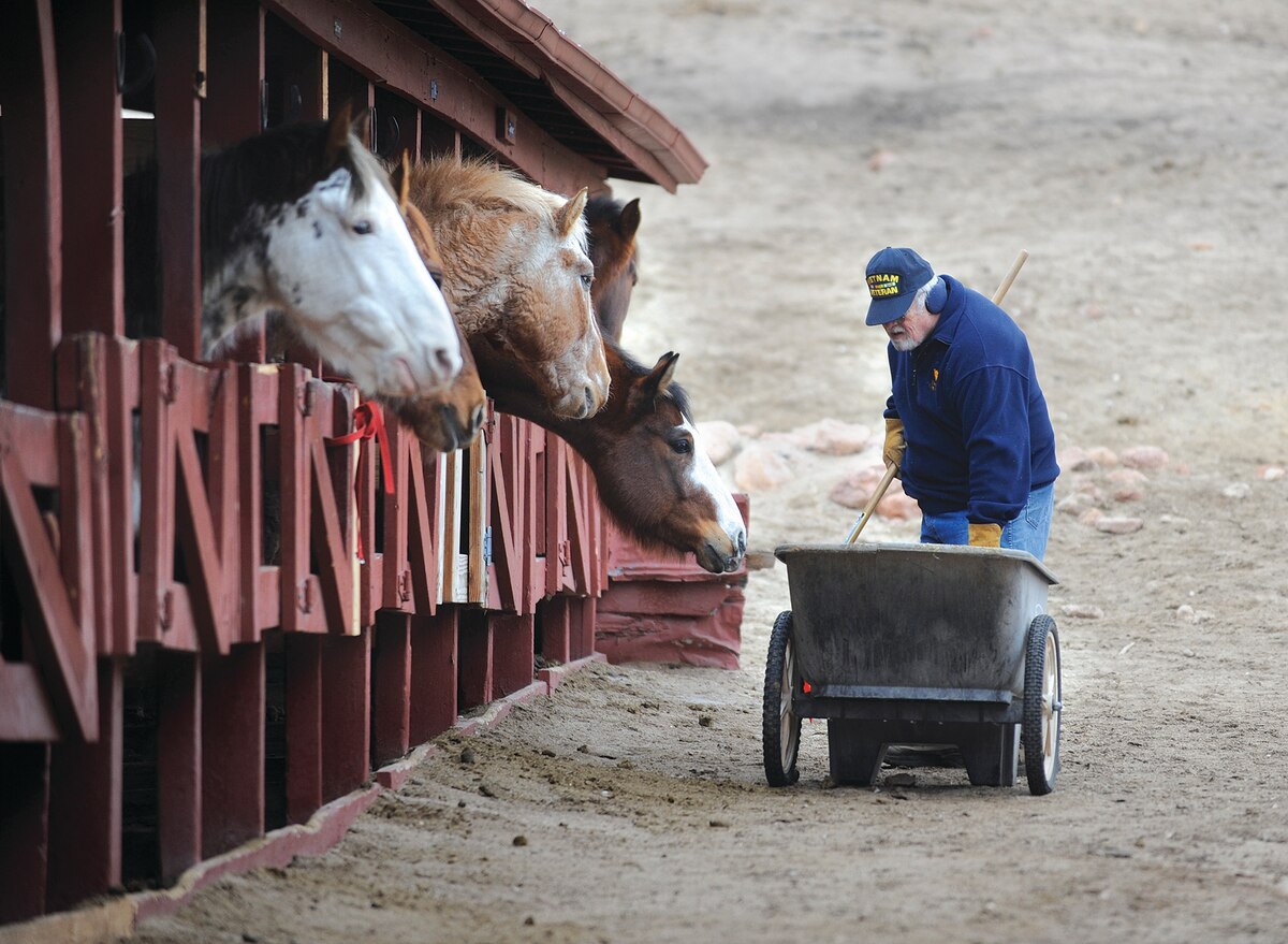 Academy's Equestrian Center stables evacuated horses during Black ...
