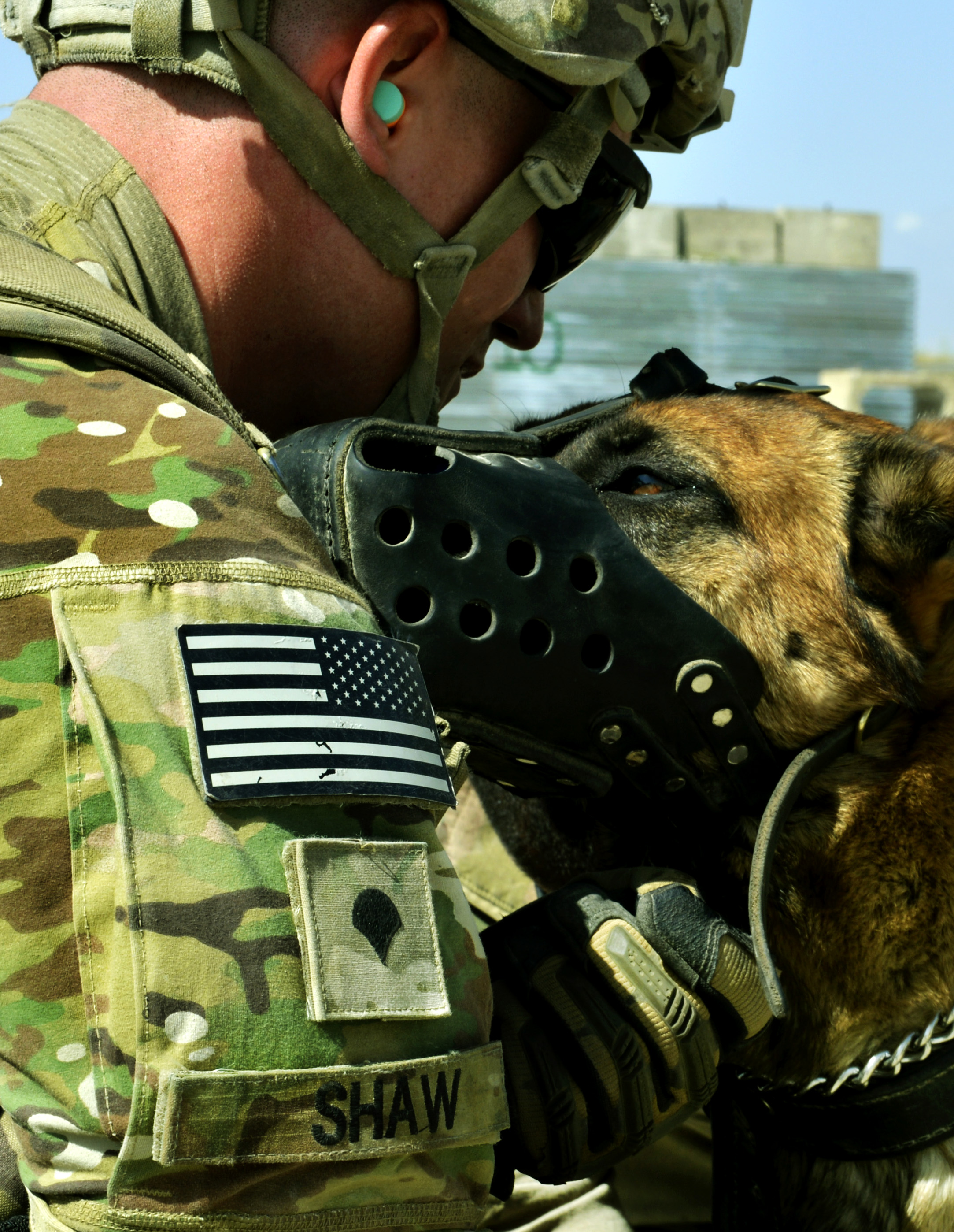 Bagram pararescueman train with Army, to save military canines > U.S ...