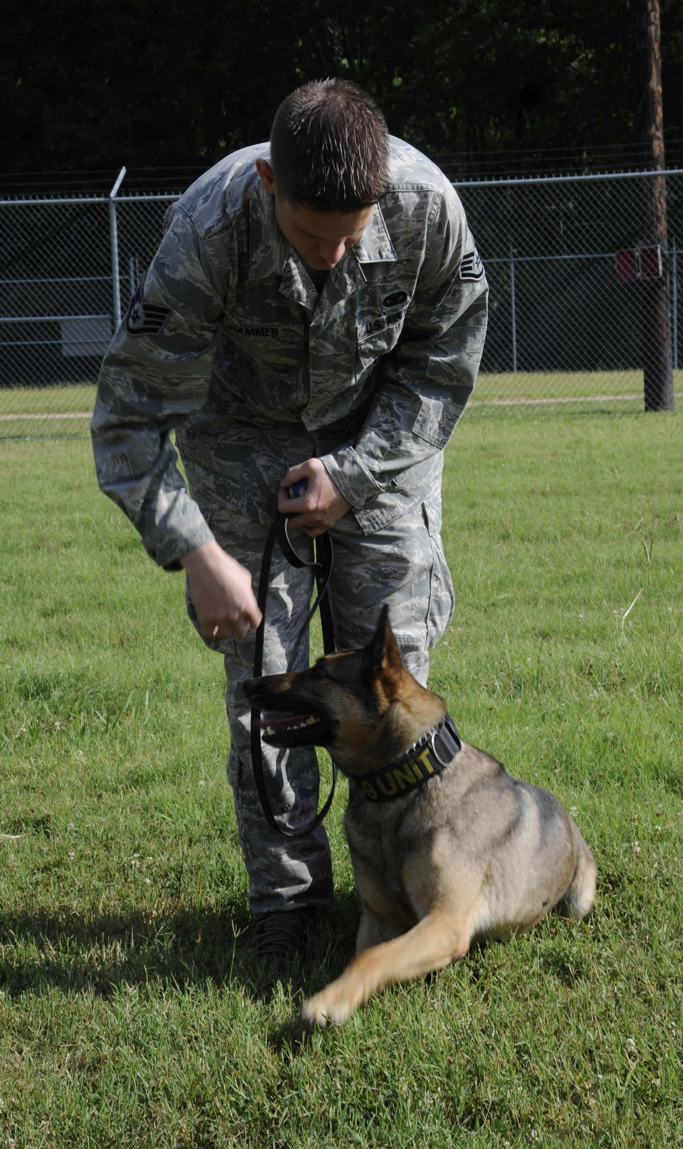 2nd SFS Military Working Dogs sniff out trouble > Barksdale Air Force ...