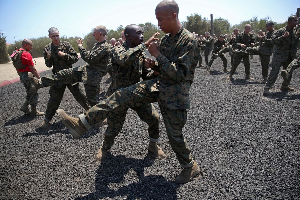 MCMAP serves multiple purposes in recruit training > United States ...