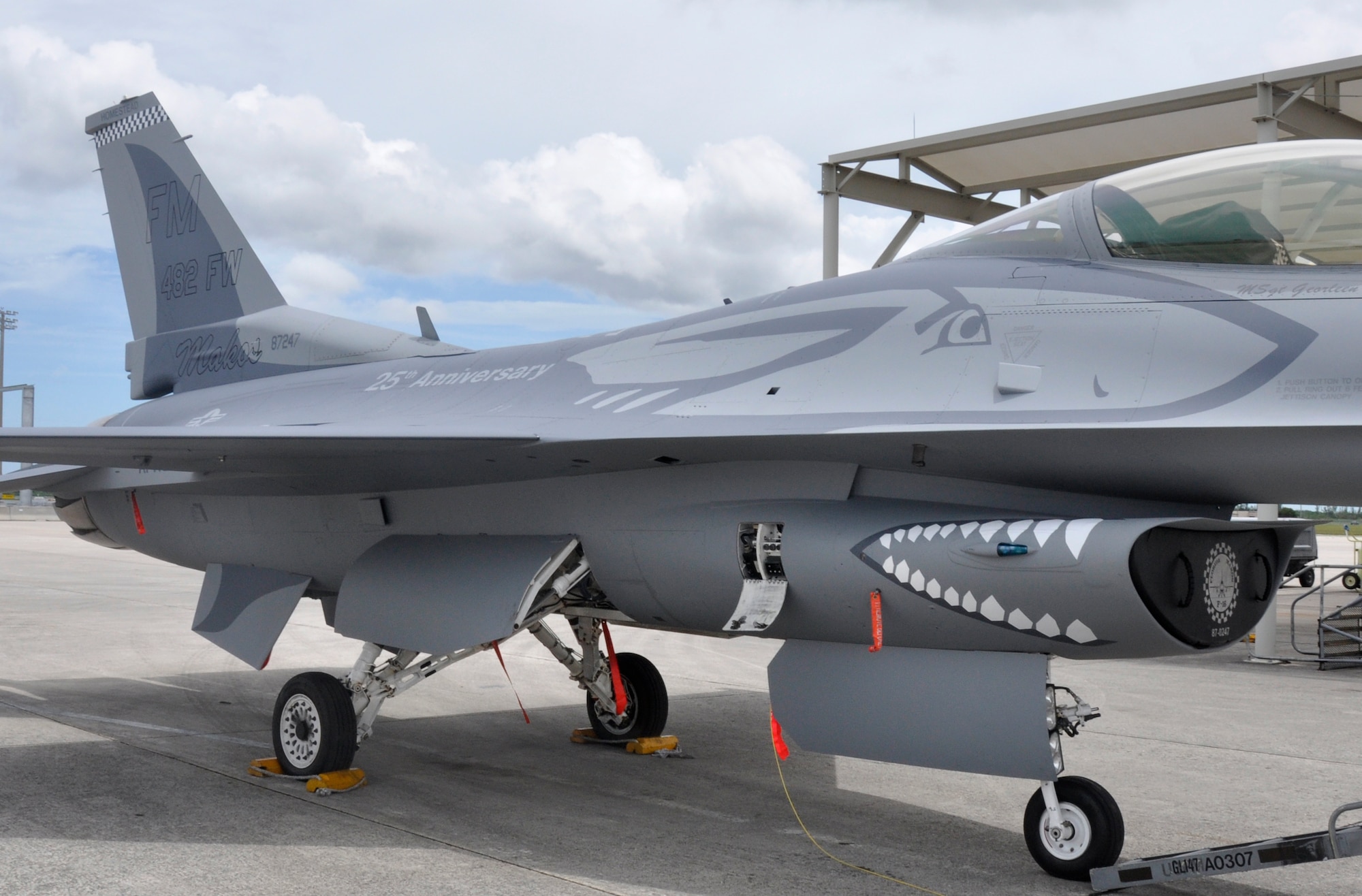 Wing flagship receives new paint job with bite > Homestead Air Reserve ...