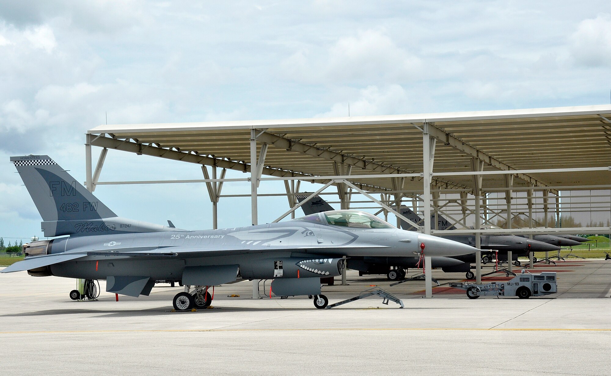 Wing flagship receives new paint job with bite > Homestead Air Reserve ...