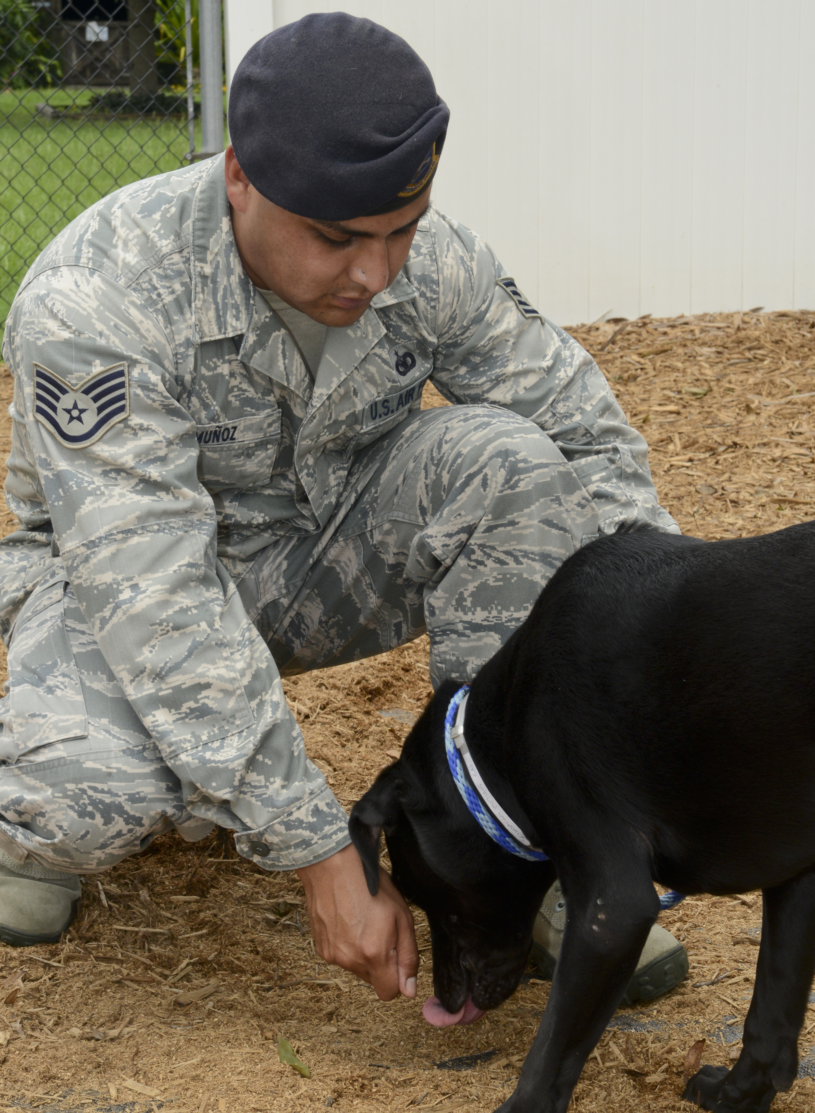 K-9 handlers lend a “paw”