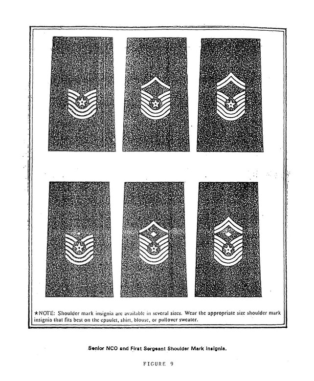 A Chronology of the Enlisted Rank Chevron > Air Force Security Forces ...