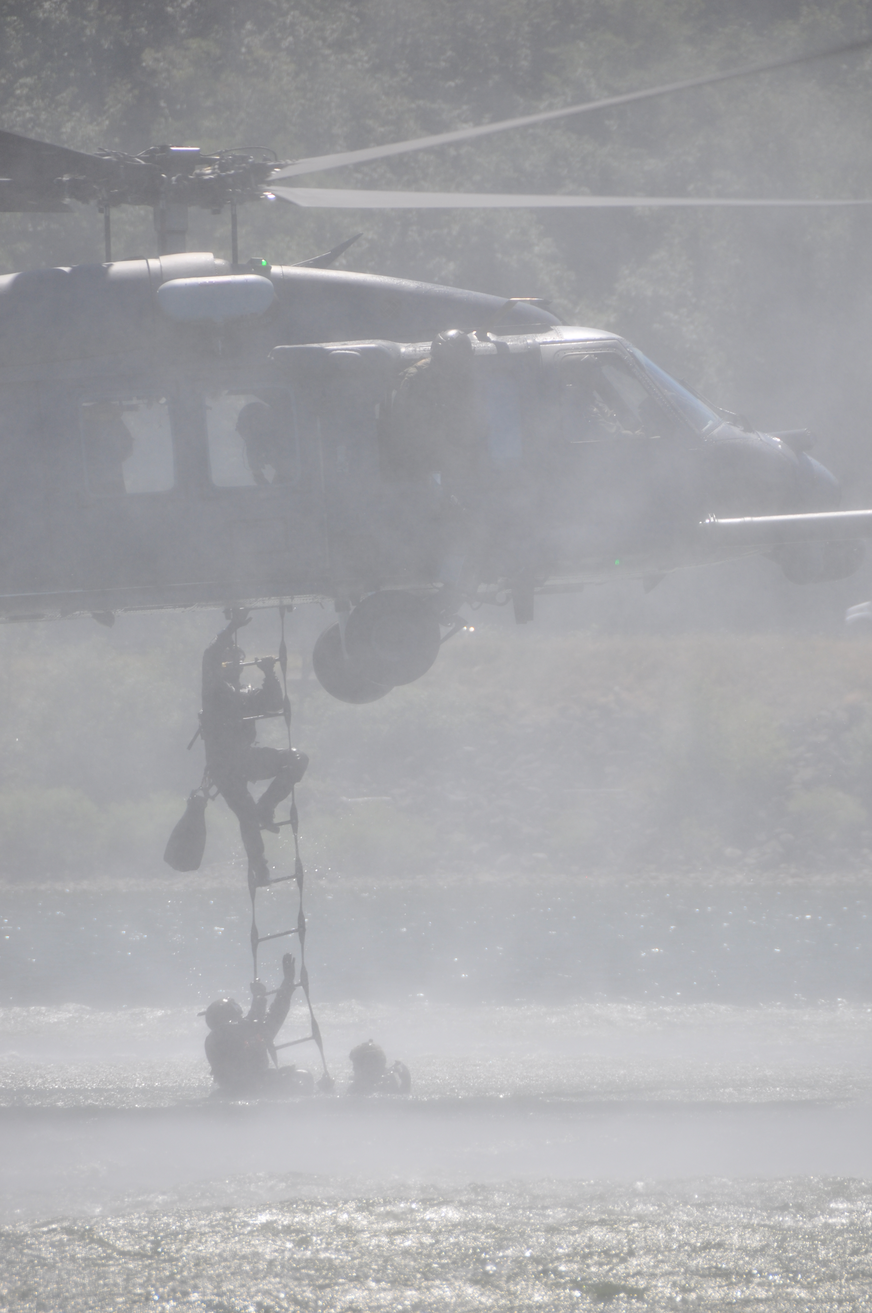 Climbing the ladder of rescue success