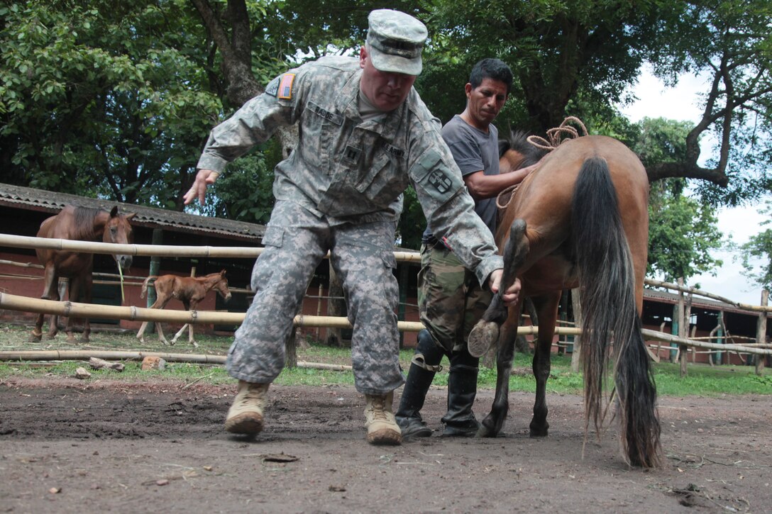 U.S. Army Capt. Matt Radde checks the leg of a pony on the Salvadoran ...