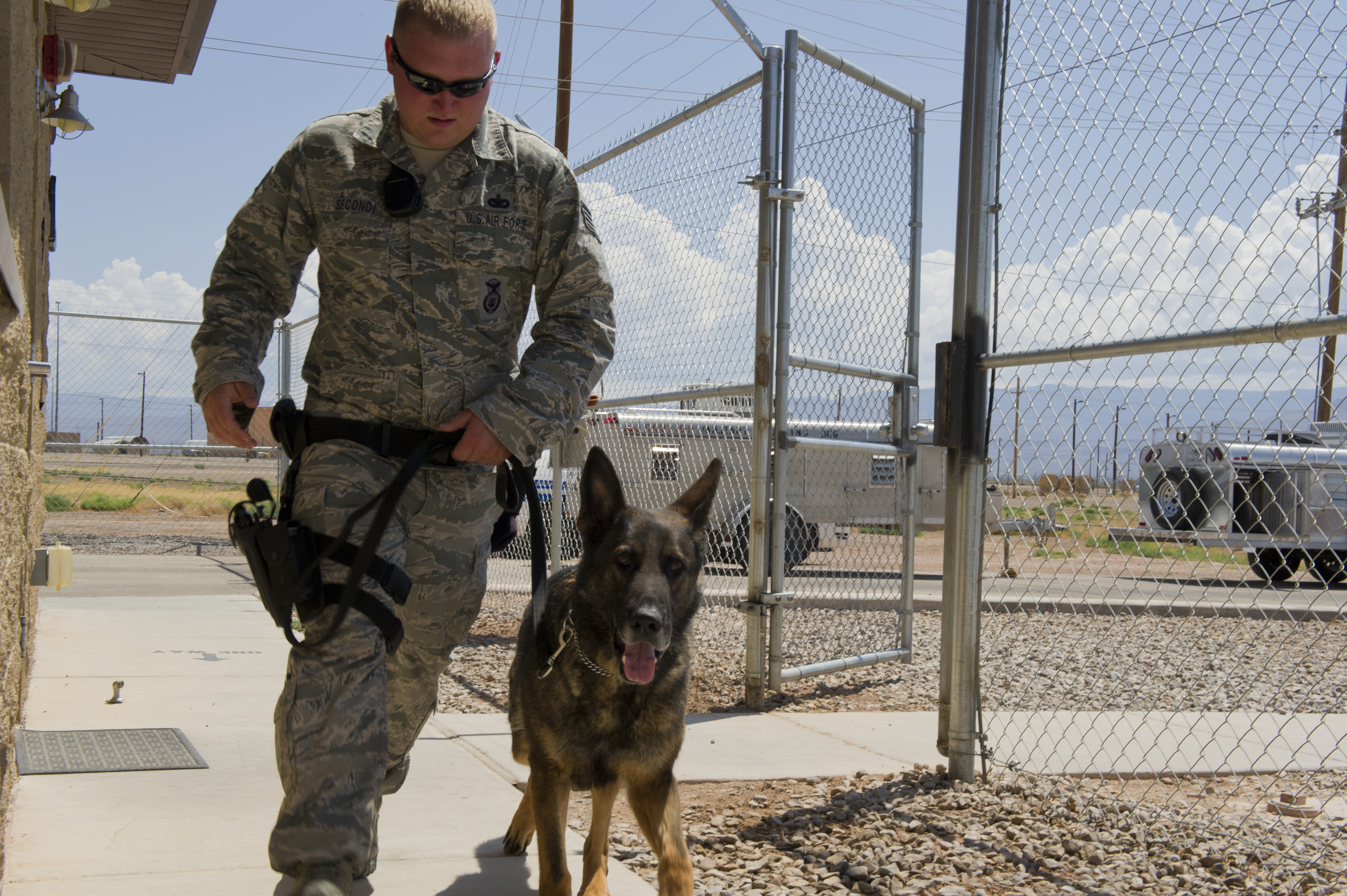 Photos: Military working dogs in training