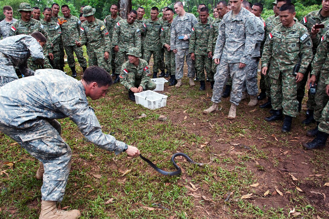 U.S. paratroopers learn to handle snakes during jungle survival ...