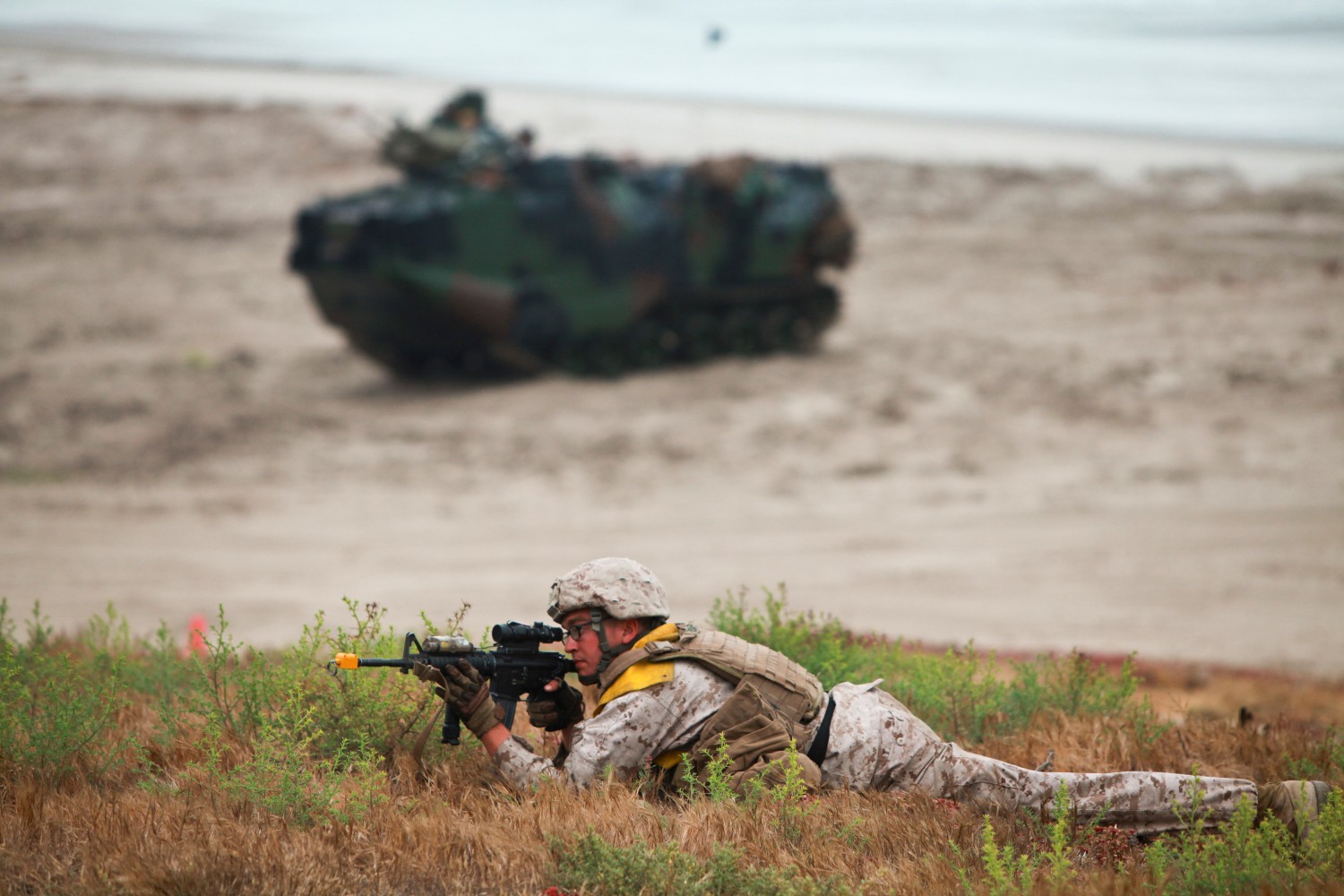US, coalition forces conduct amphibious landing on Red Beach > United ...