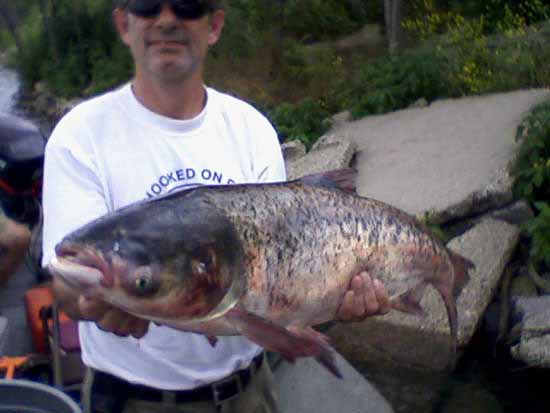 ERDC participates in Electric Fish Barrier Operations and Studies ...