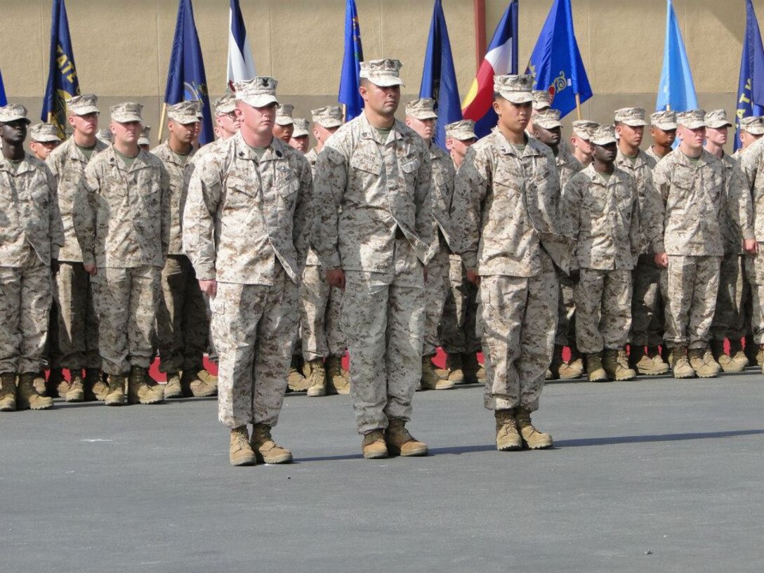 FMTB-W Class 2013020