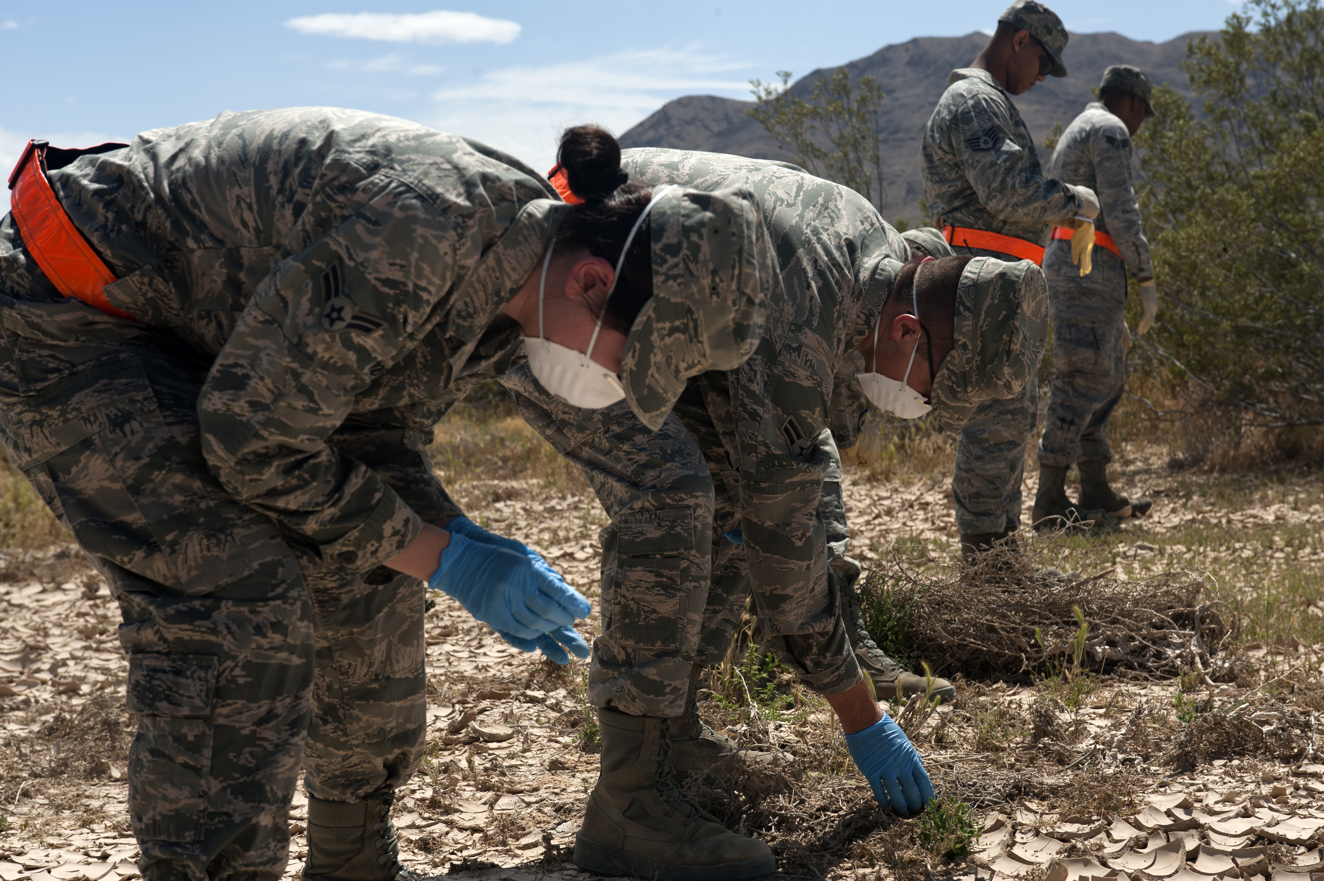 Airmen hone search, recovery skills during squadron exercise > Nellis ...