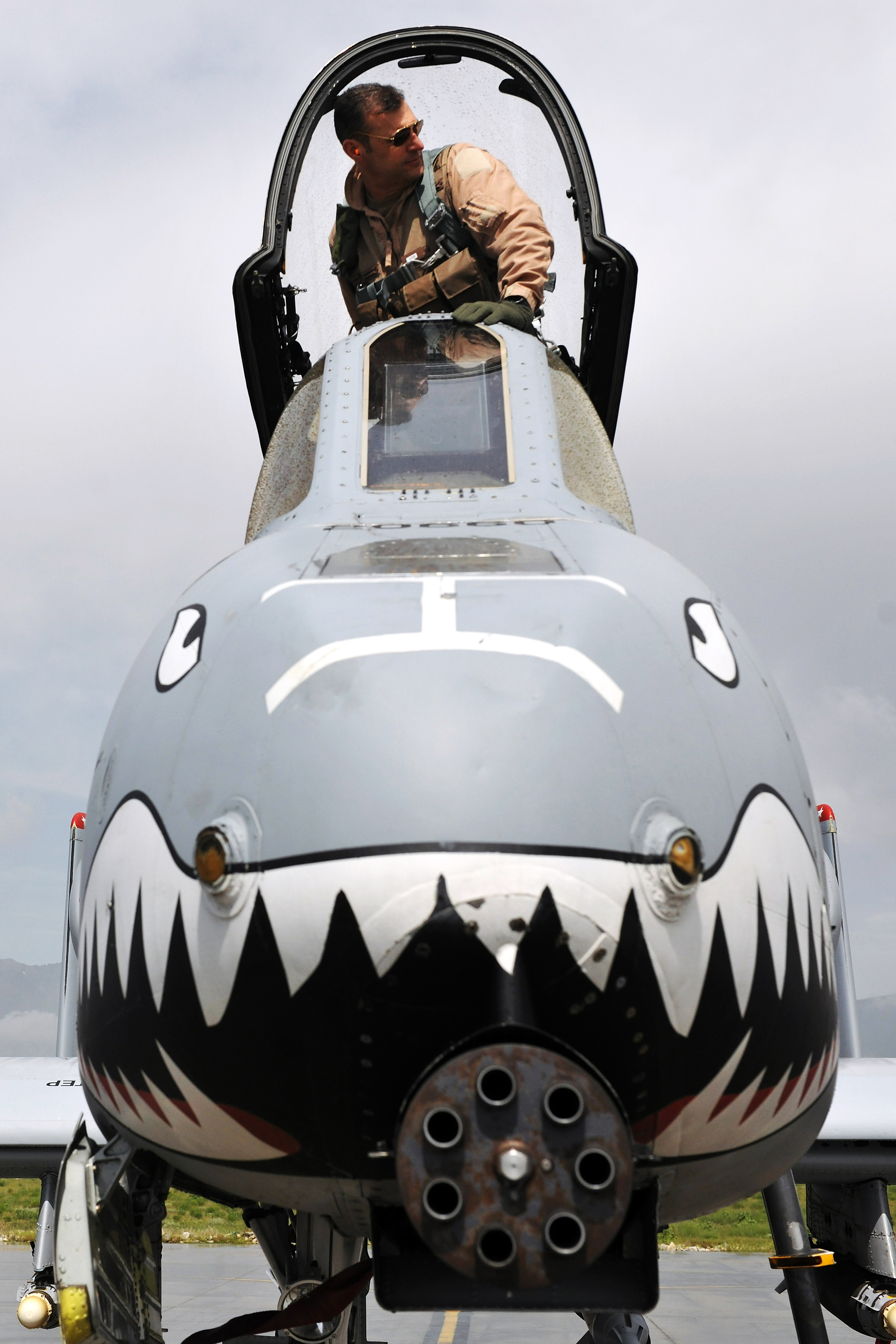 An A-10 love story > U.S. Air Forces Central > Display