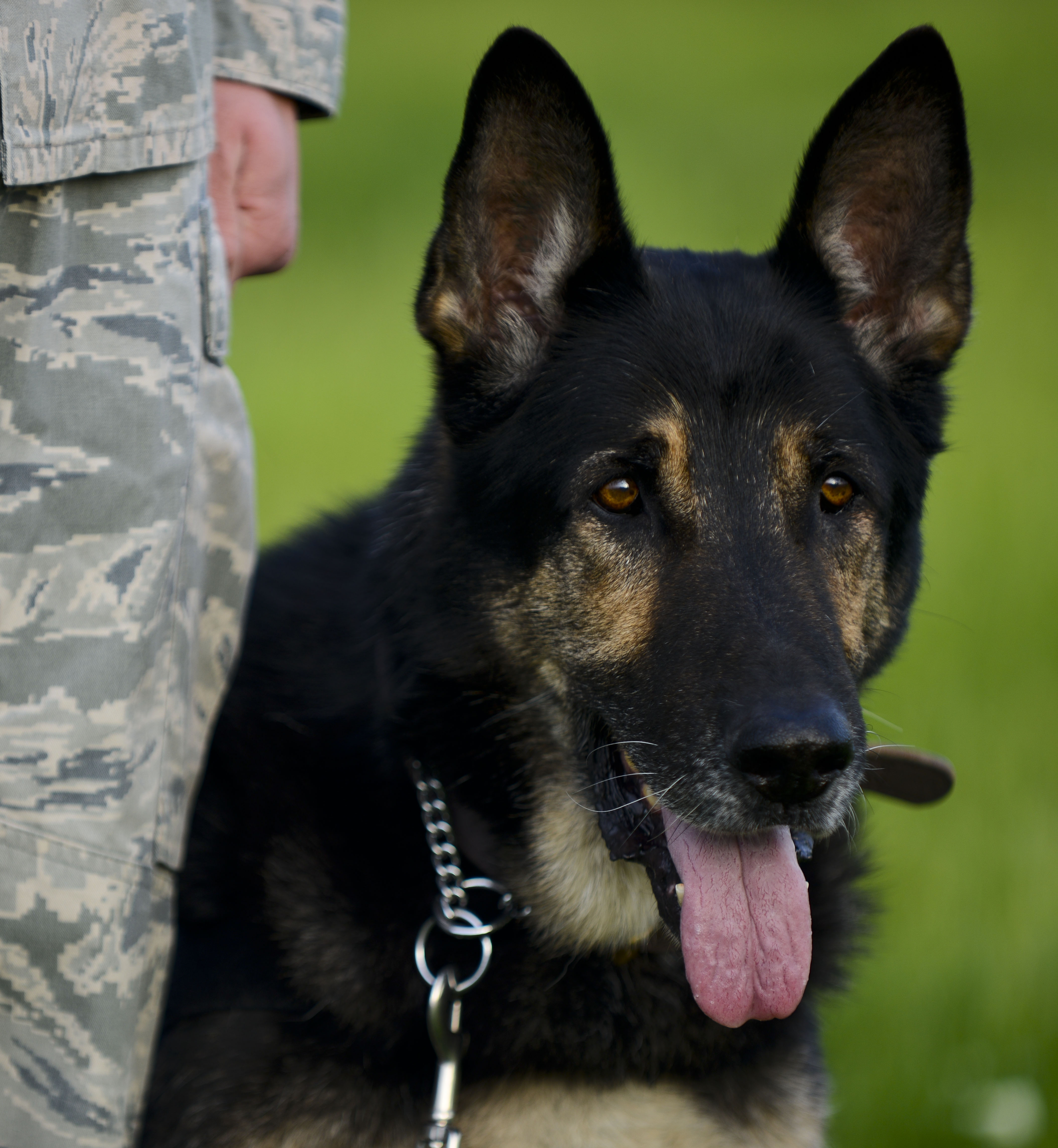 633rd SFS honors the fallen > Joint Base Langley-Eustis > Article Display