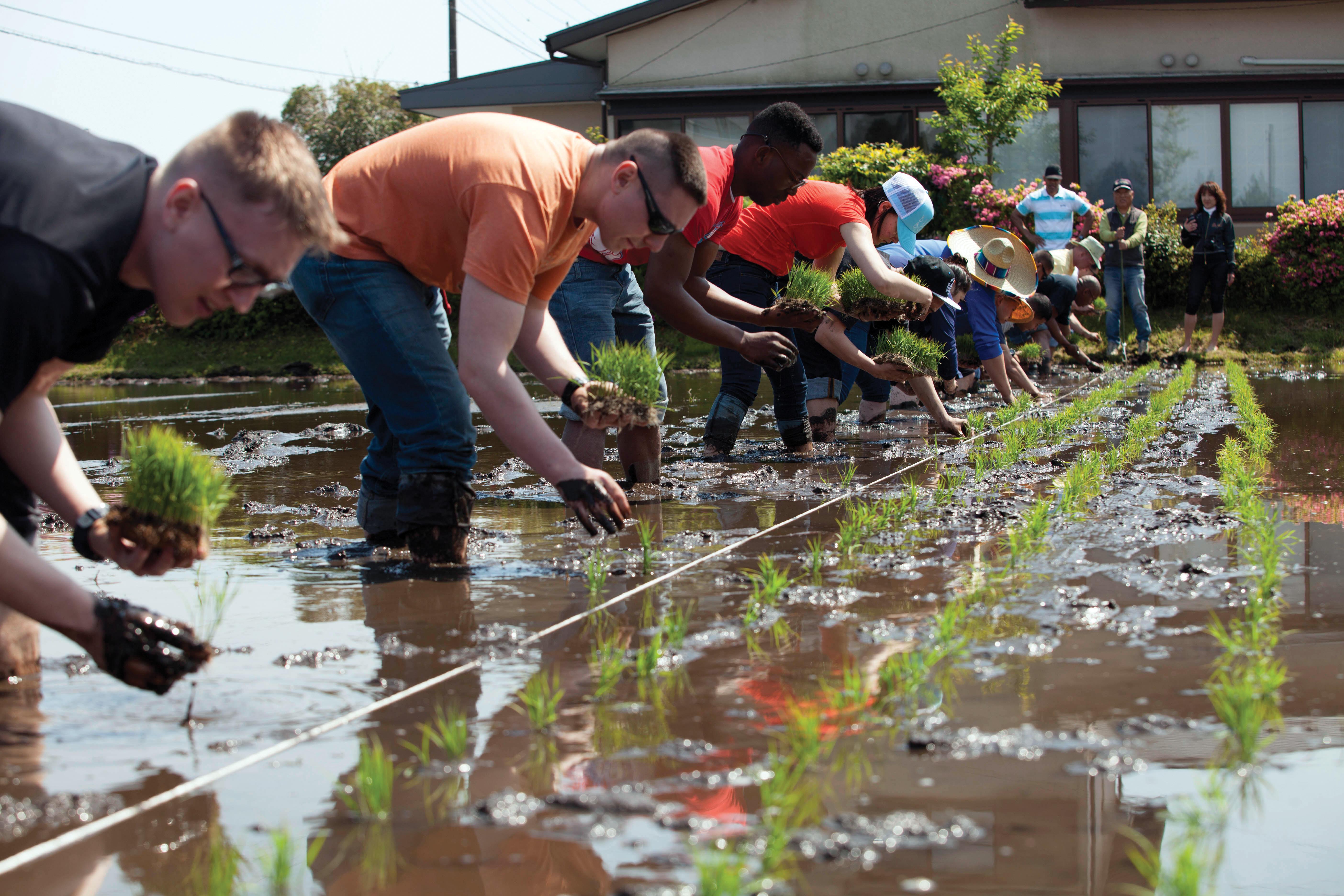 Marines get muddy during rice-planting event