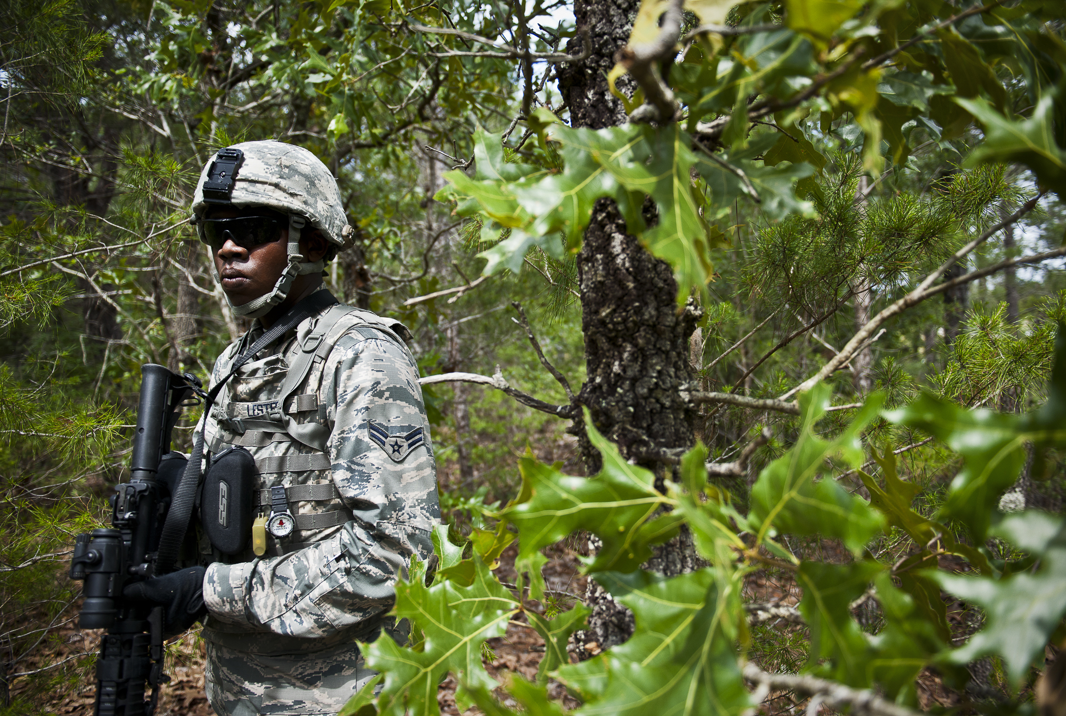 Brave Defender training - the Airmen > Eglin Air Force Base > Article ...