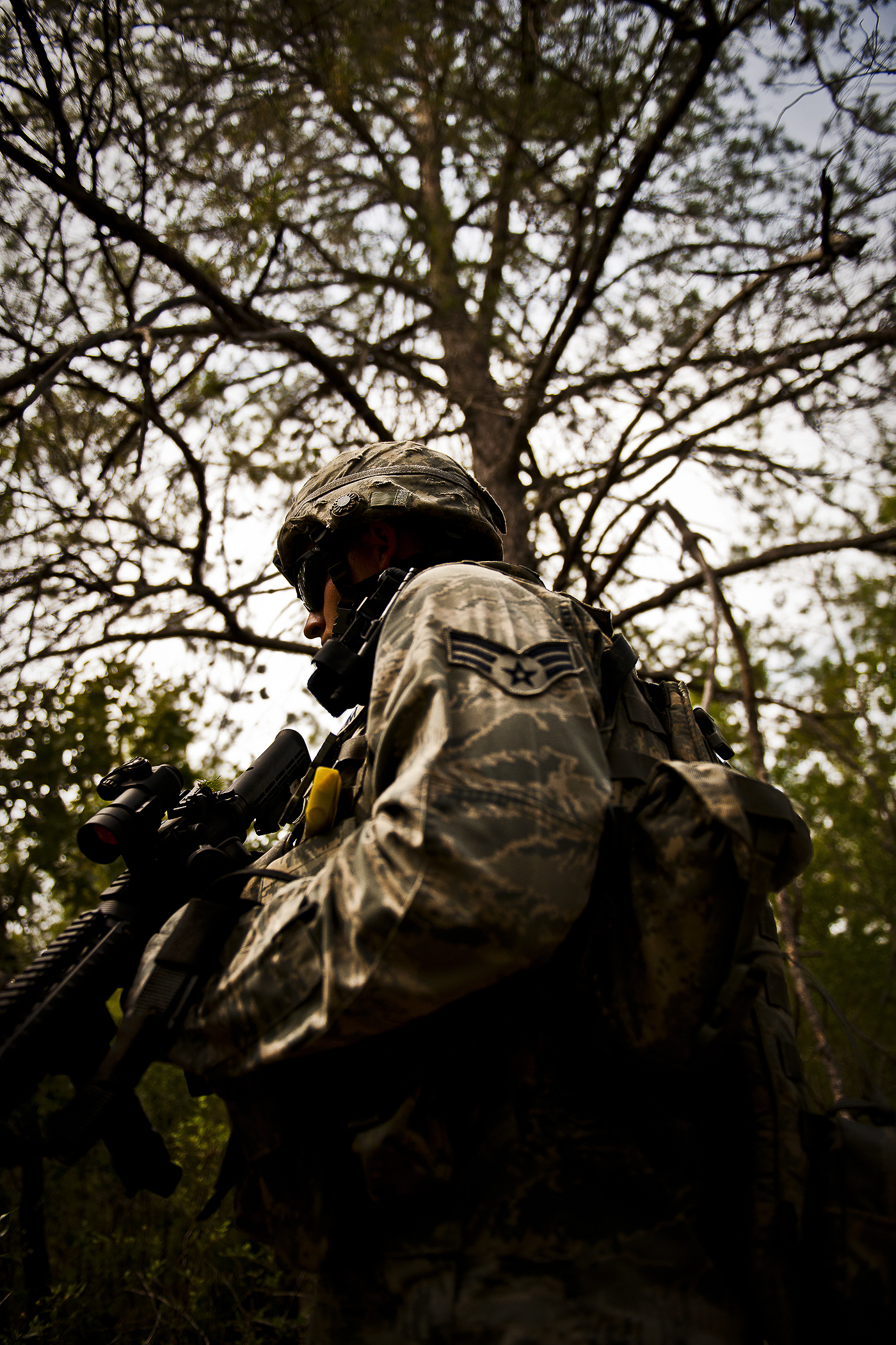Brave Defender training - the Airmen > Eglin Air Force Base > Article ...