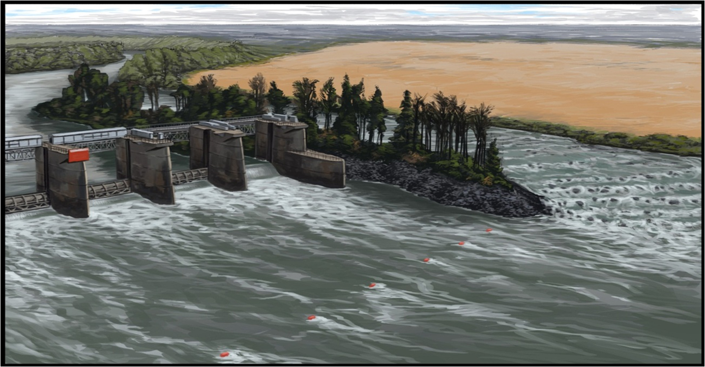 Artist's Rendering - Fish passage at New Savannah Bluff Lock and Dam