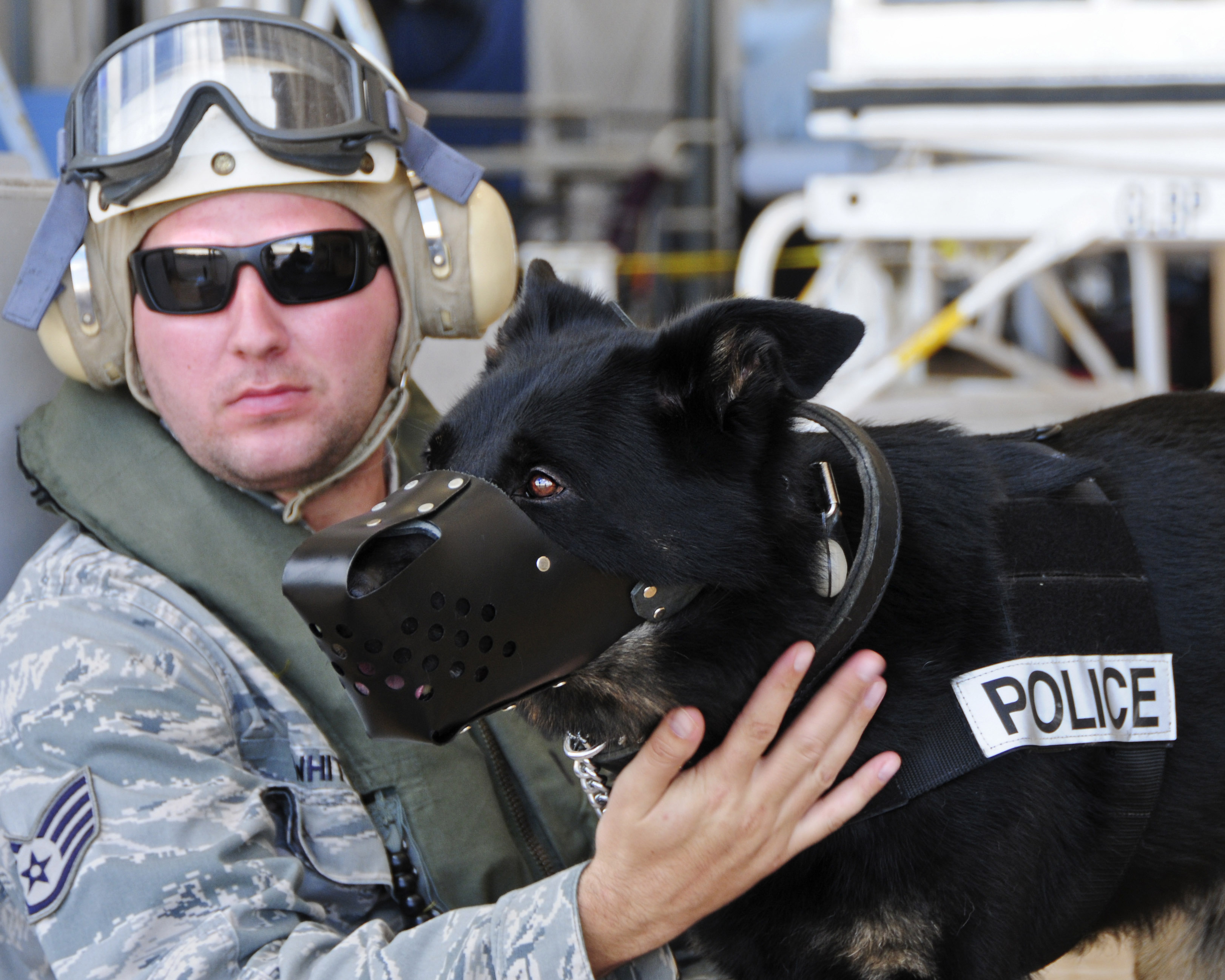 Dogs in flight ready to fight > Andersen Air Force Base > Article Display