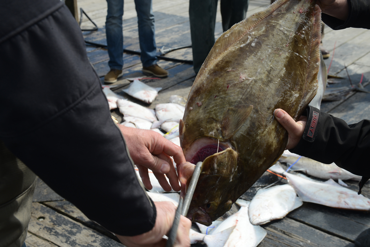 COMBAT FISHING > Joint Base Elmendorf-Richardson > News