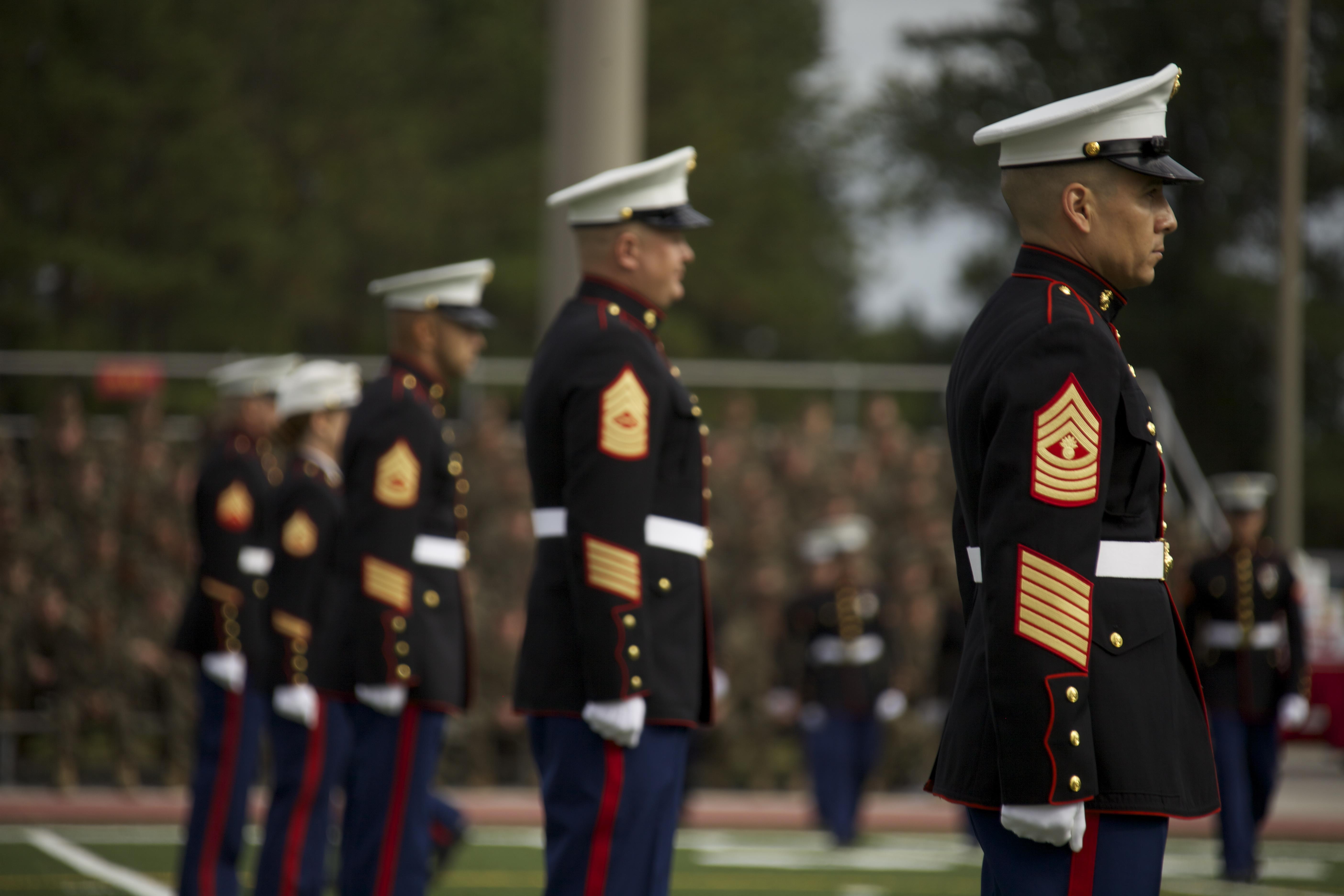 Marine Standing At Attention