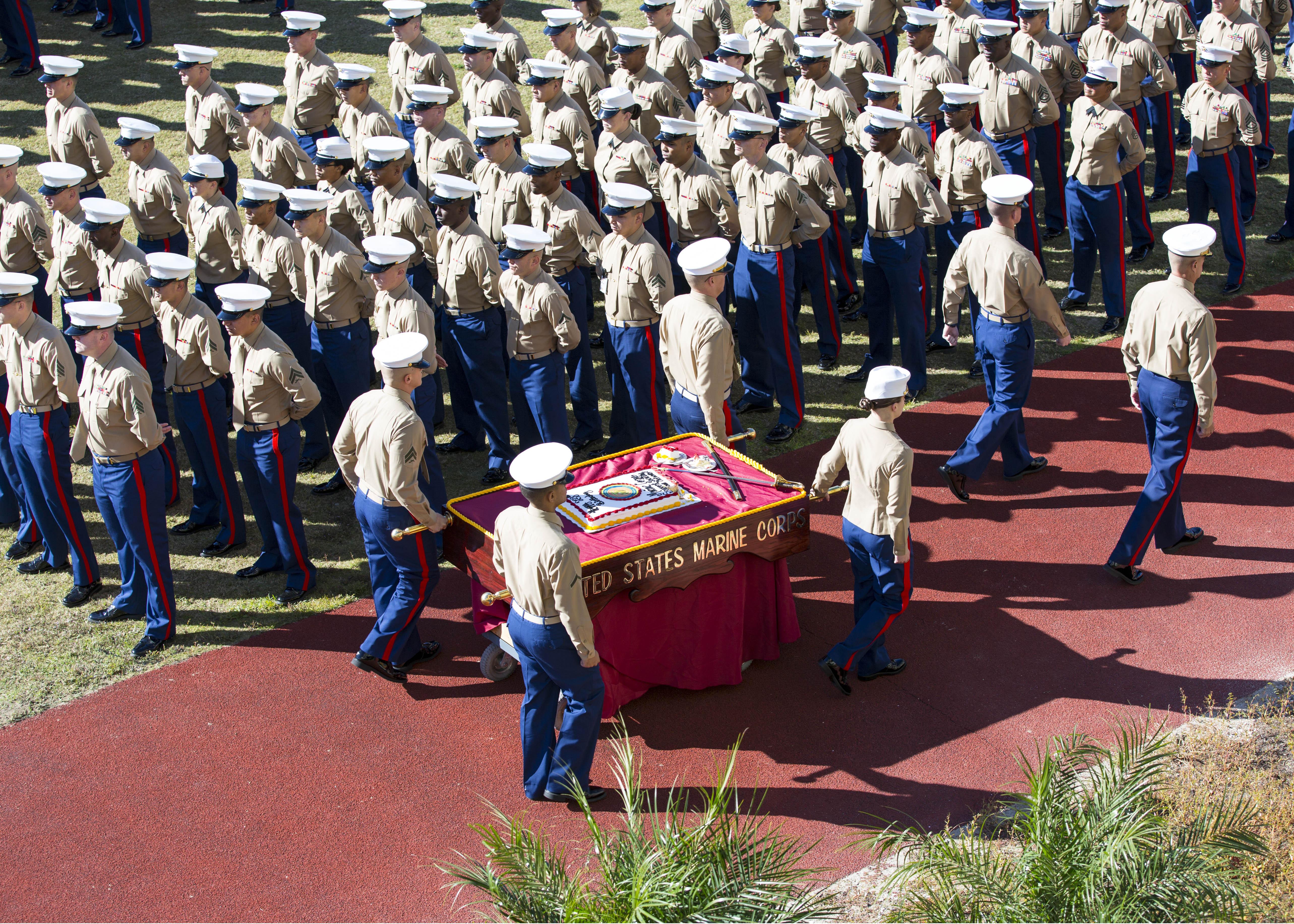 Cake Cutting ceremony
