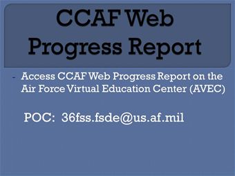 131108 CCAF Web Progress Report