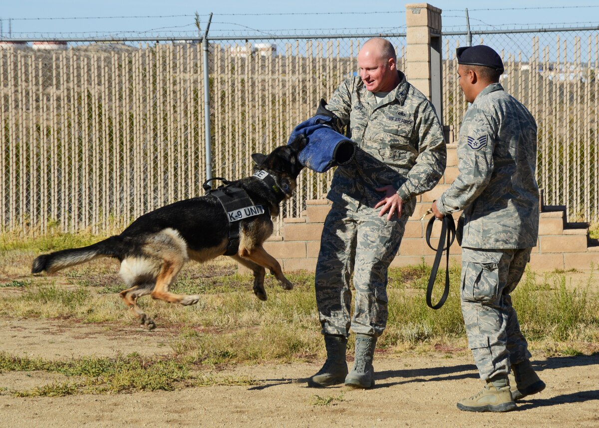 K-9 training > Edwards Air Force Base > News