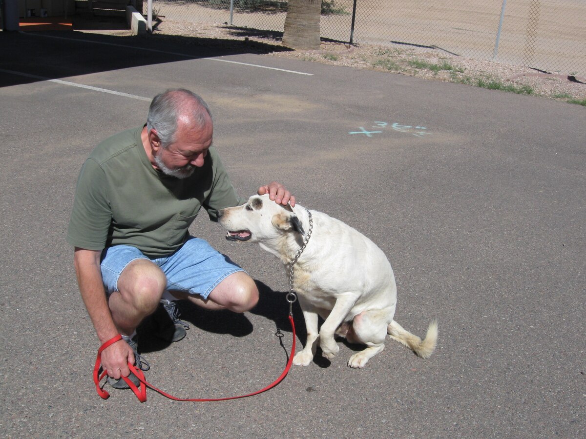 End of an era for AFSSS > Peterson and Schriever Space Force Base > Display