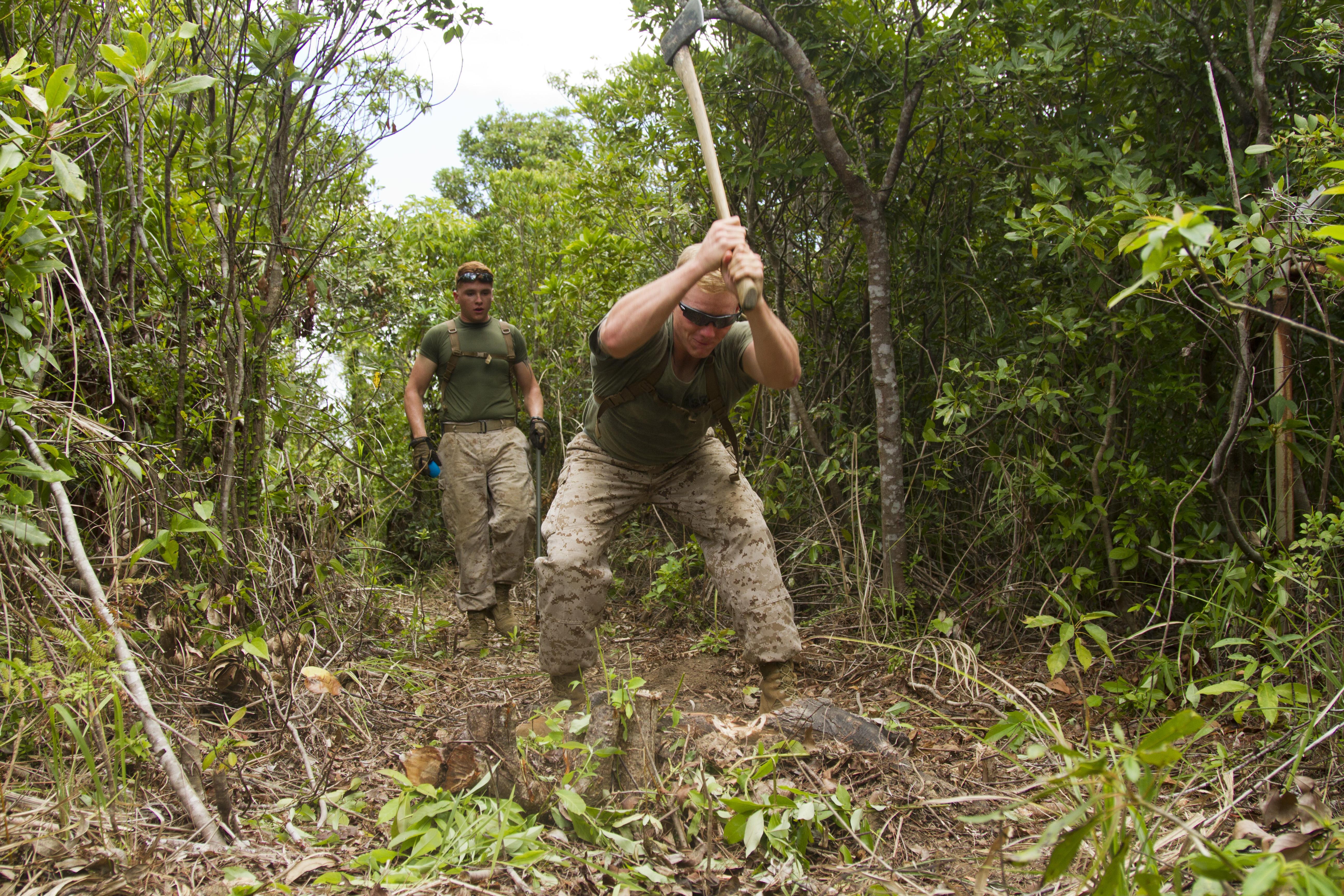 Endurance course built into jungle at Camp Hansen > United States ...