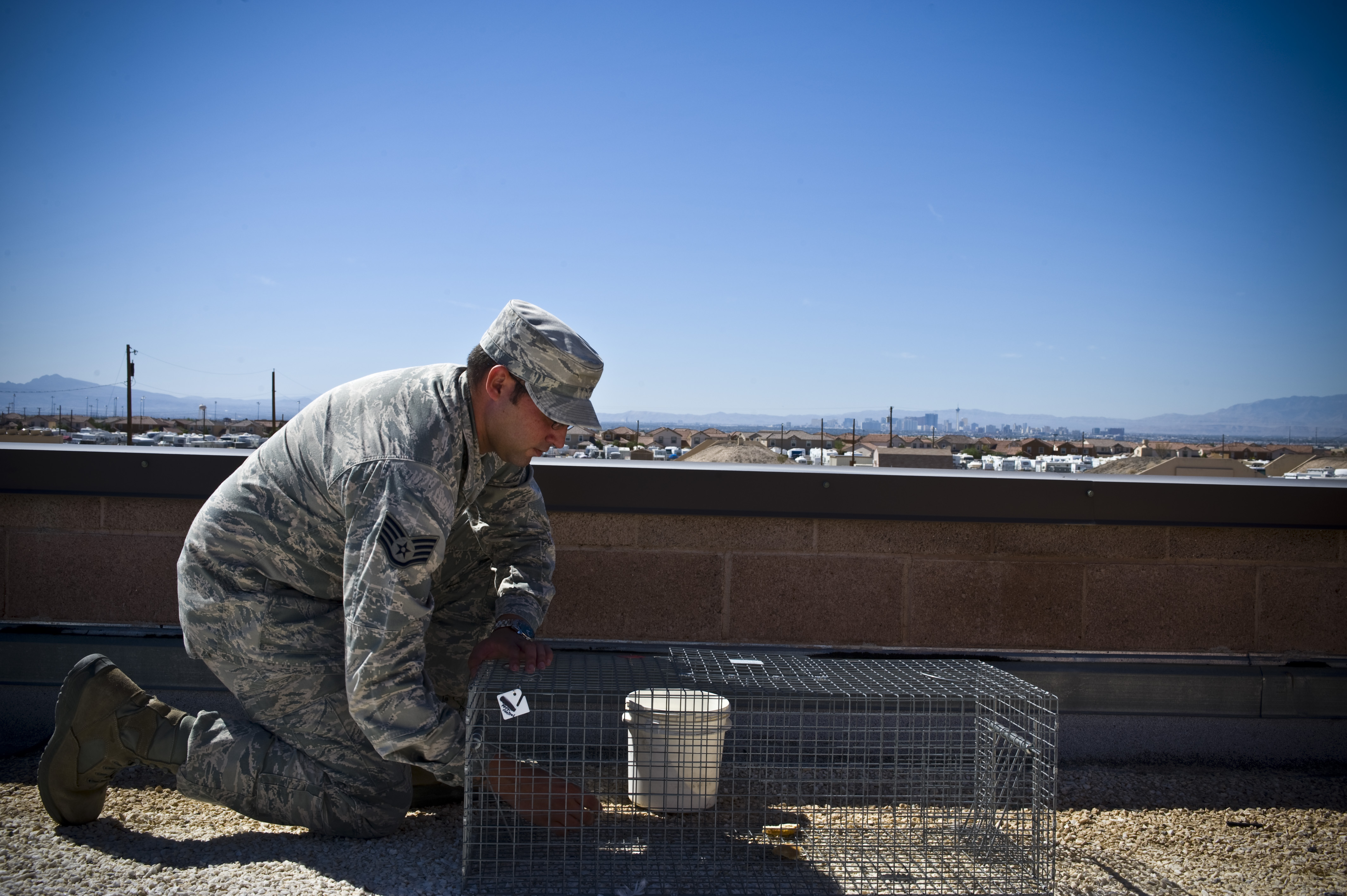 Pest Management controls plant, insect, bird populace > Nellis Air ...